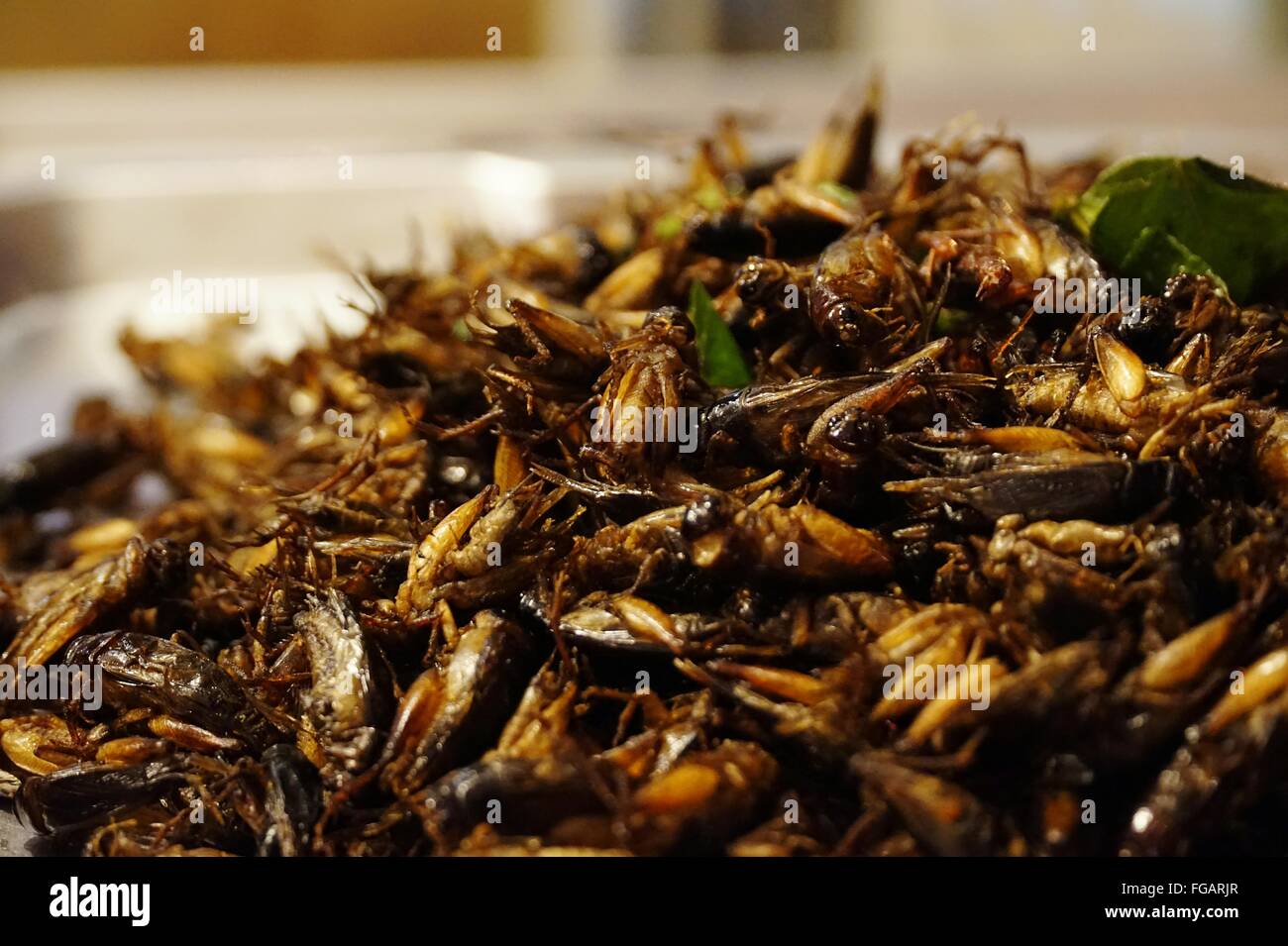 Fried insects hi-res stock photography and images - Alamy