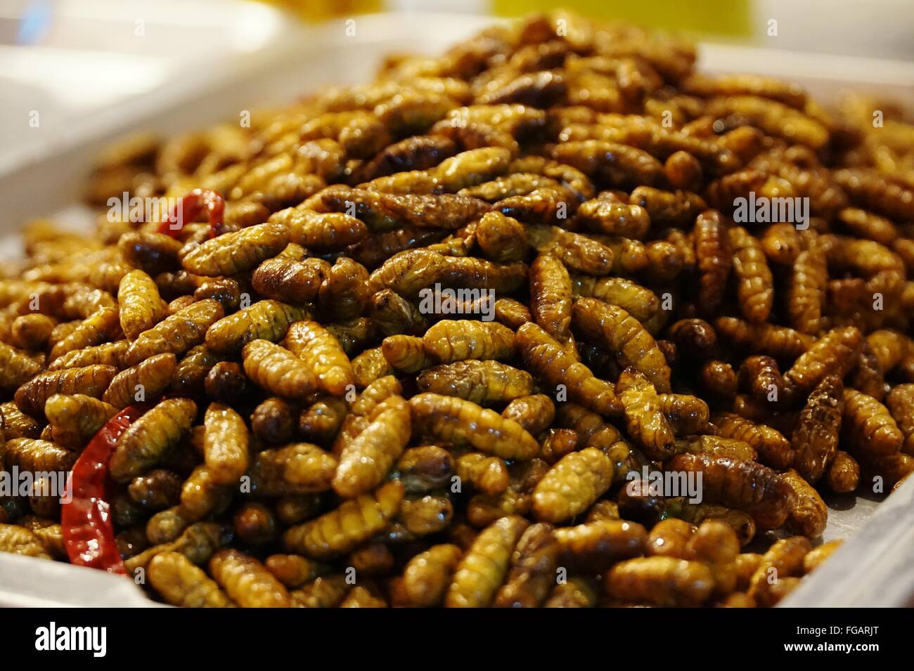 How to eat fried worms hi-res stock photography and images - Alamy
