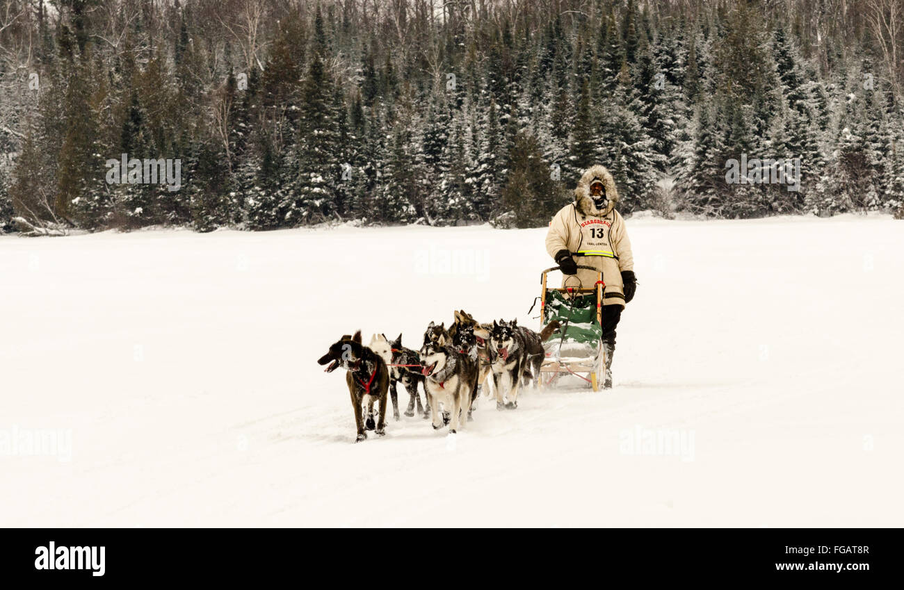 Dog sled, musher Stock Photo - Alamy