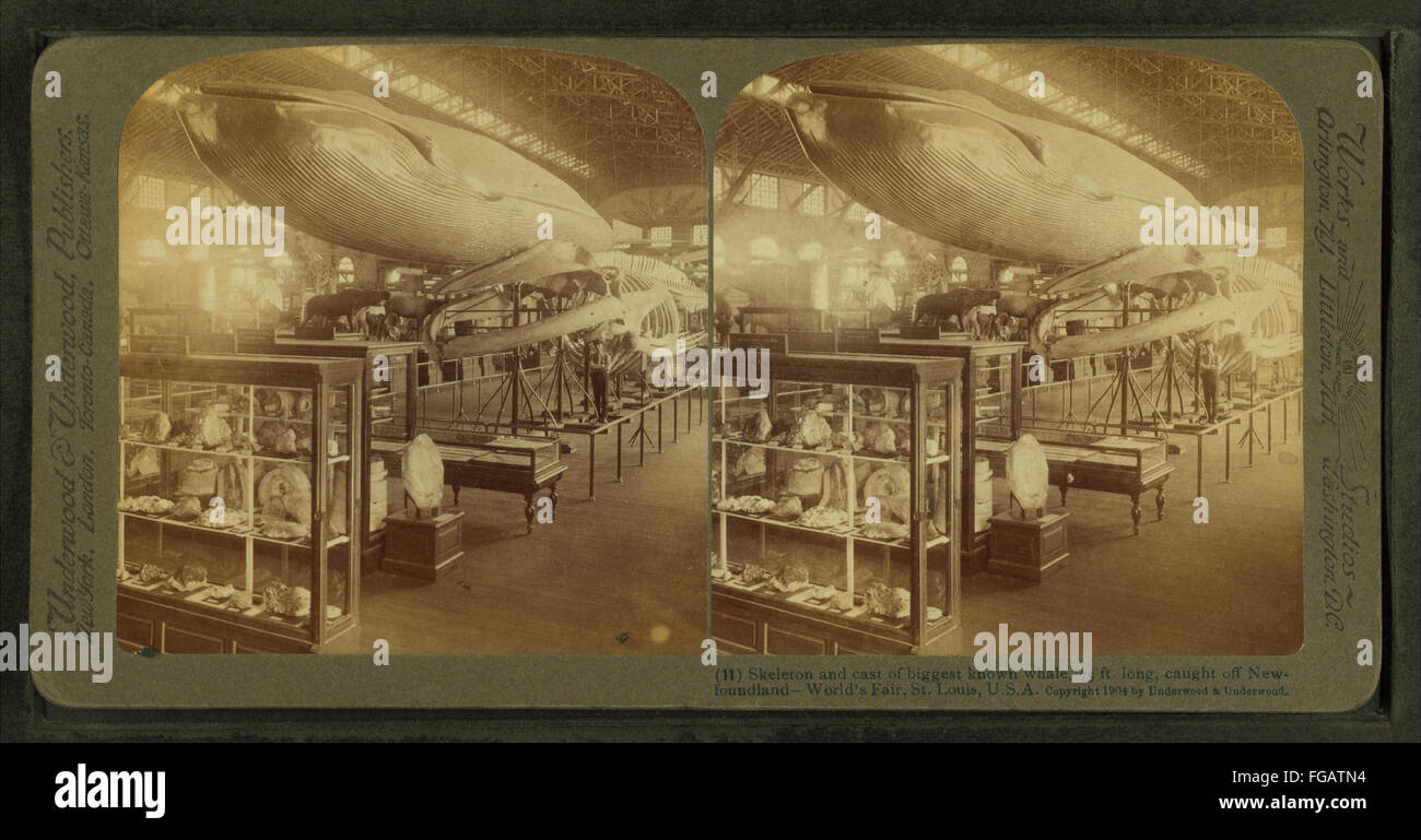 75 ft long hi-res stock photography and images - Alamy