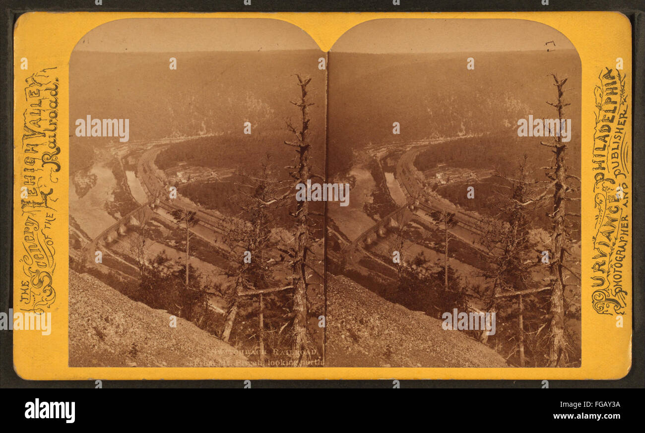 This photograph by William T. Purviance shows the Switchback Railroad ...