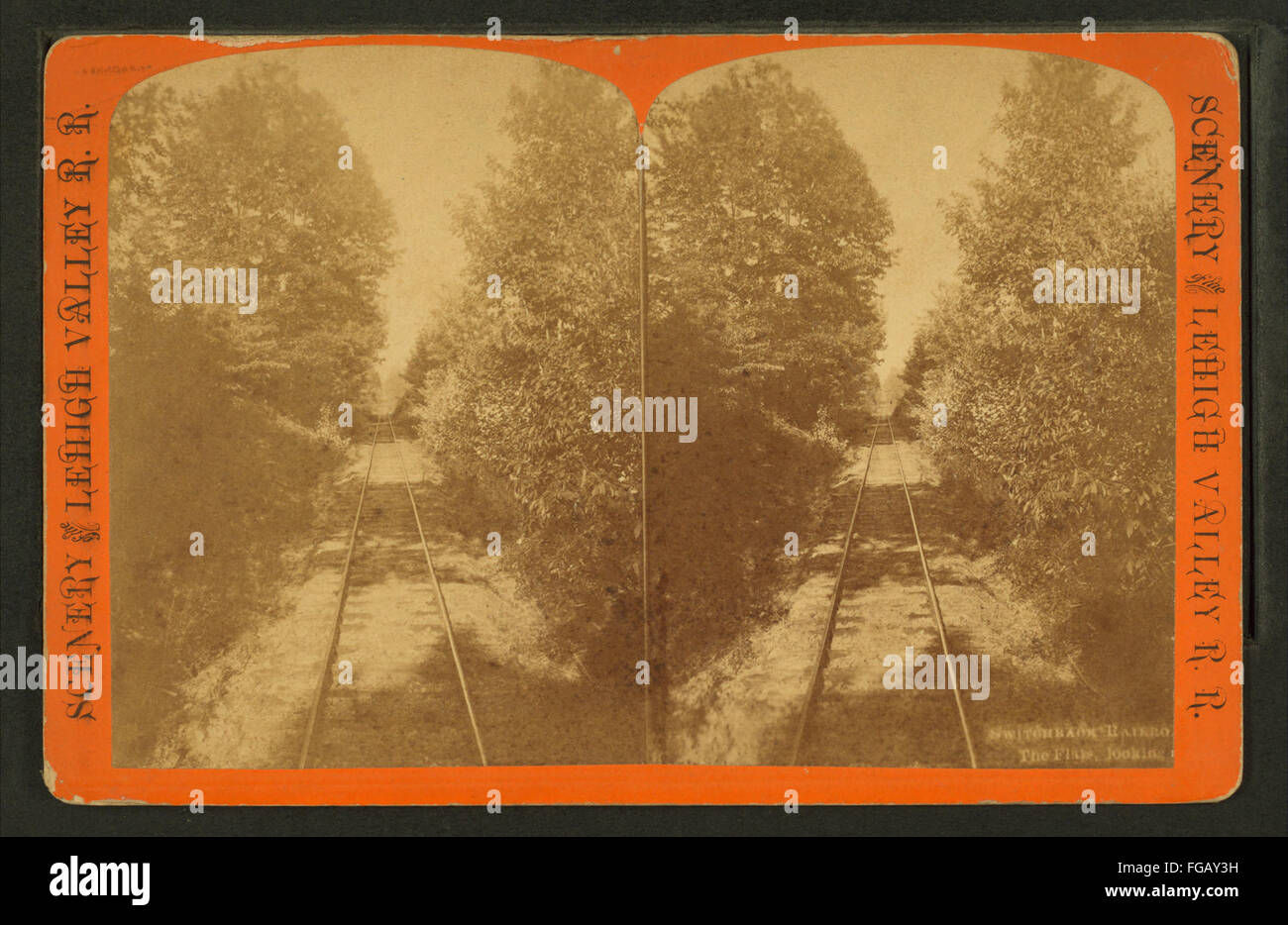 This photograph by George F. Gates shows a view of the Switchback ...