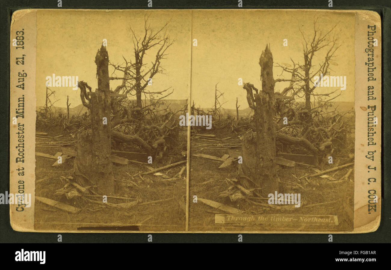 A photograph by J. C. Cook showing a timbered landscape in the ...