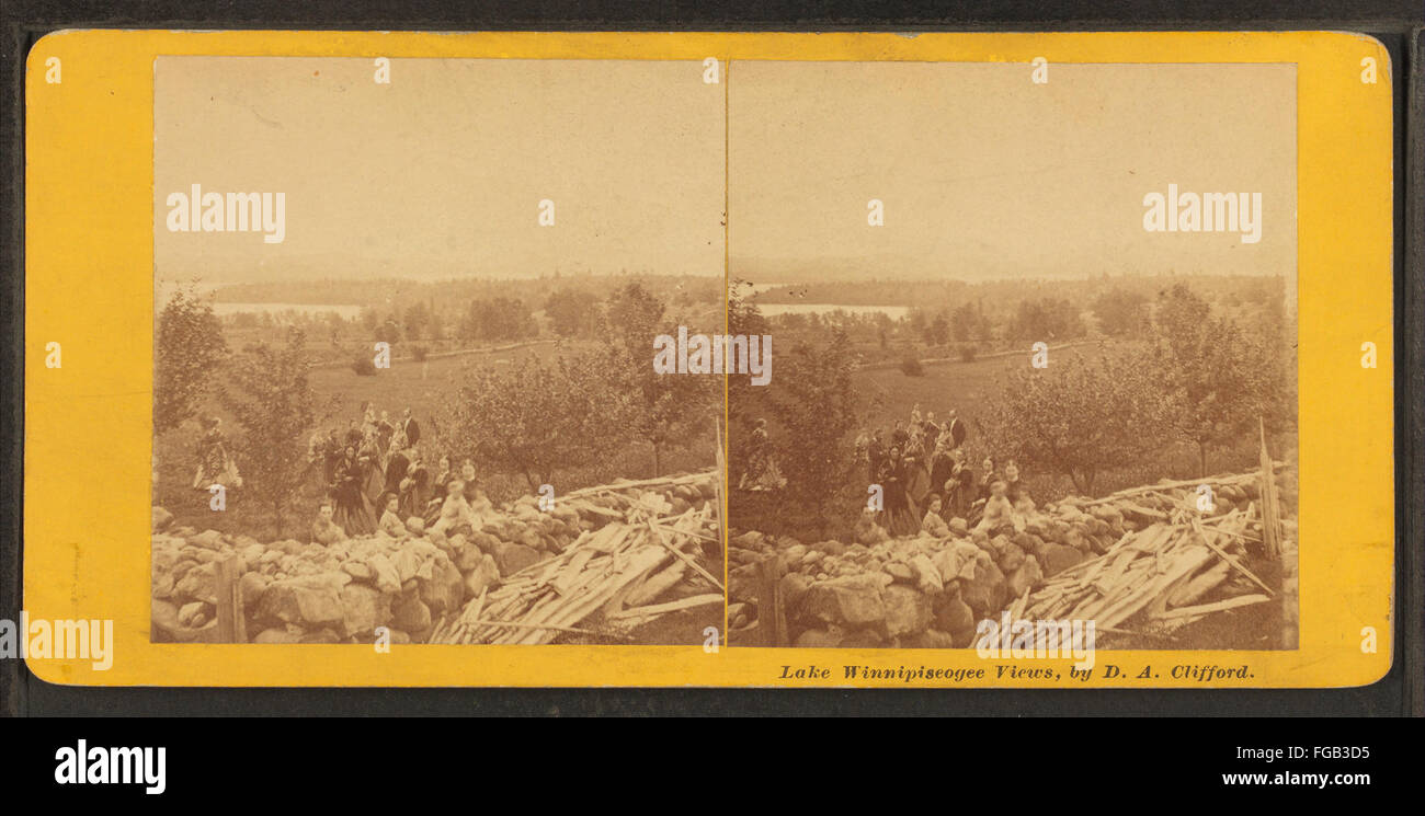 This photograph by D.A. Clifford shows the view from Mrs. Libby's ...