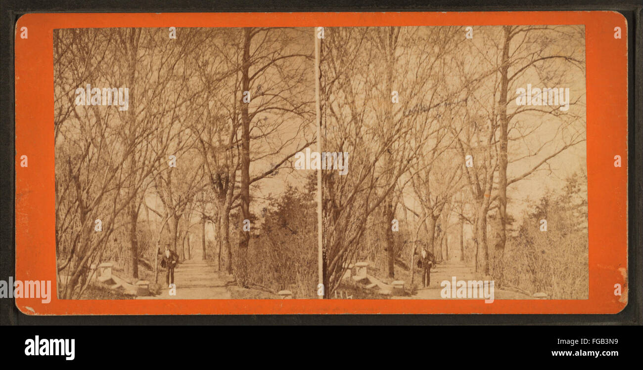 A photograph from the Robert N. Dennis collection showing a view in the ...