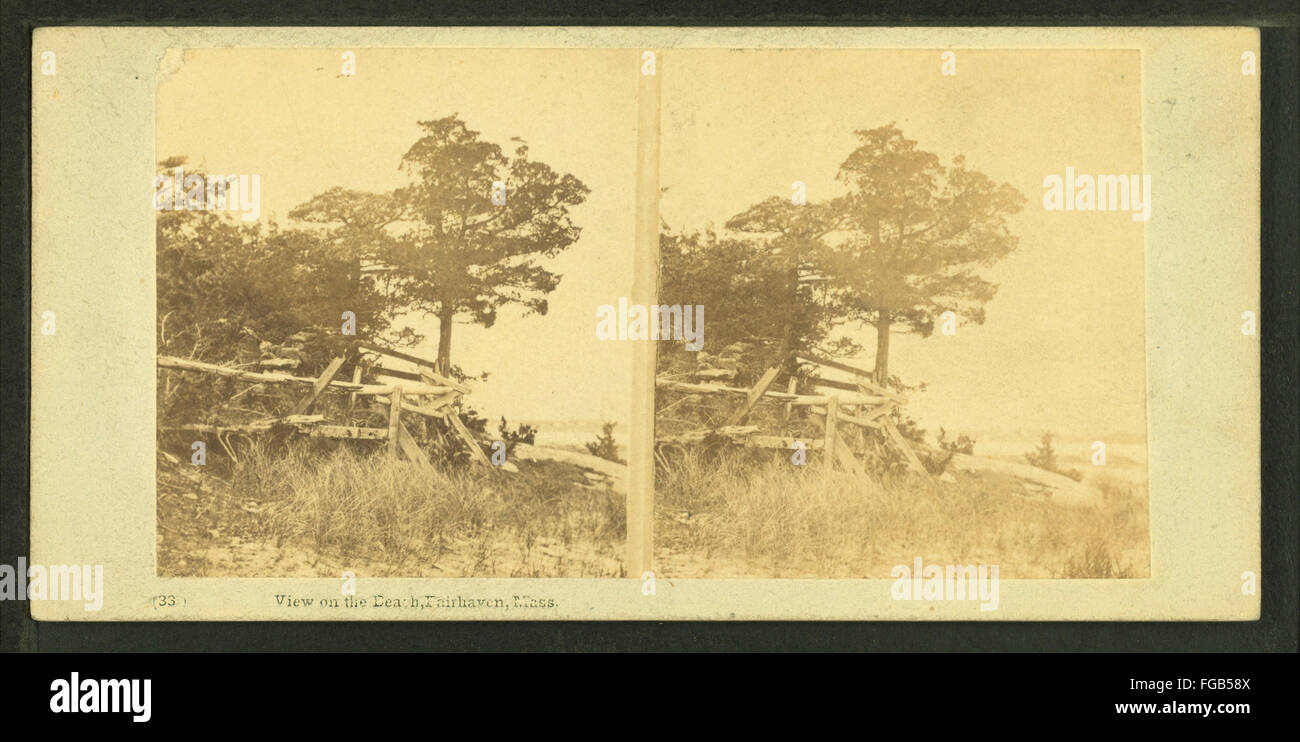 This photograph by the Bierstadt Brothers shows a rustic wooden fence ...