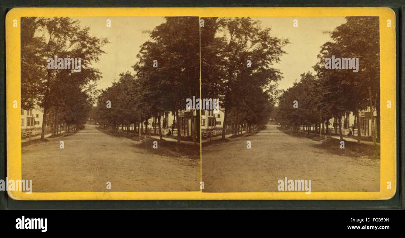 This photograph shows a tree-lined street, capturing the natural beauty ...