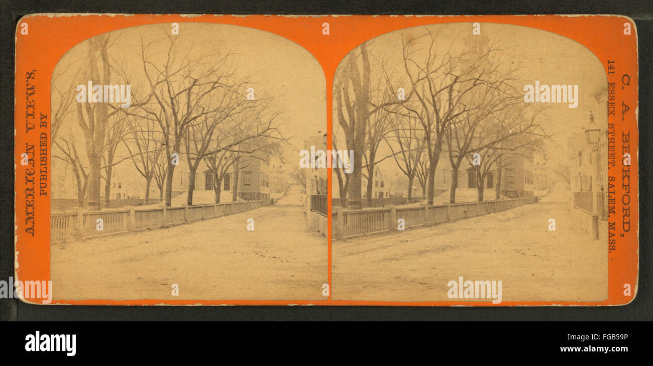 Photograph by C. A. Beckford showing a tree-lined street, capturing the ...