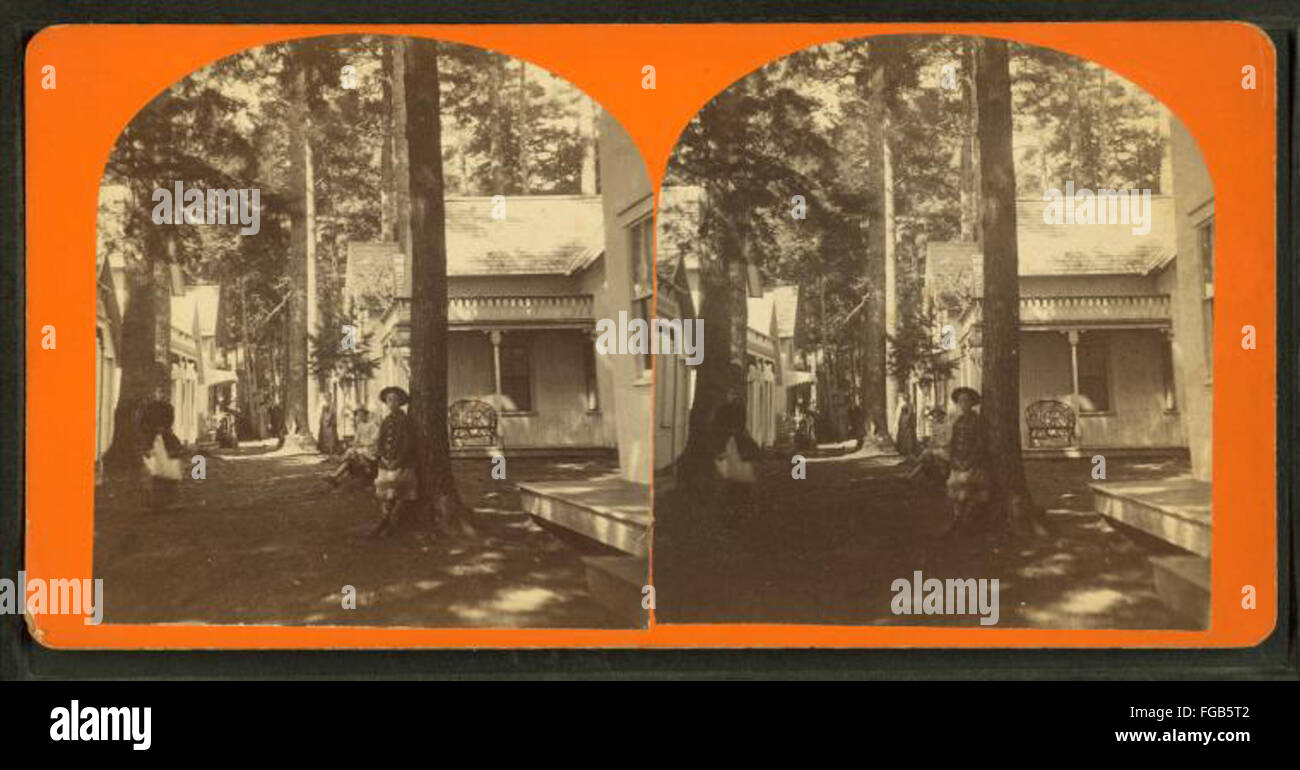 A photograph by W.A. Prescott & Co. showing a group of cottages with ...
