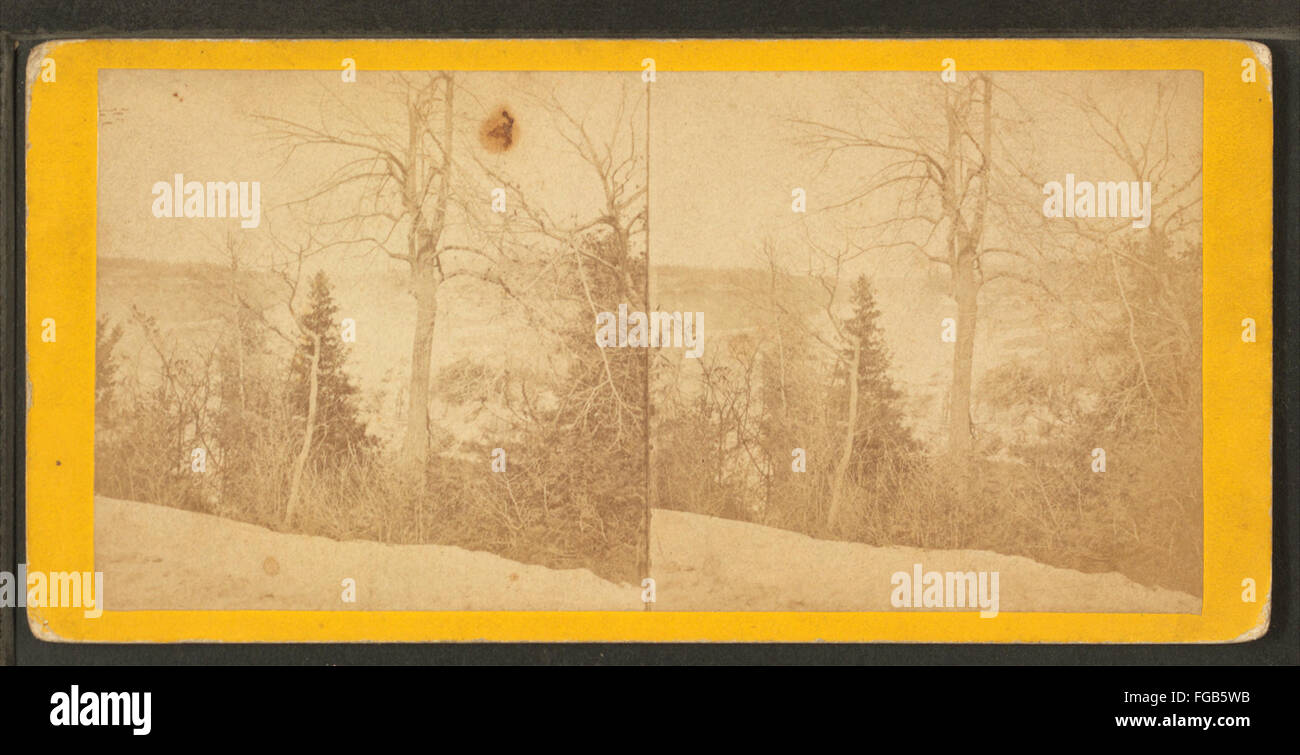 A photograph by James Cremer showing Fairmount Park in winter. The ...