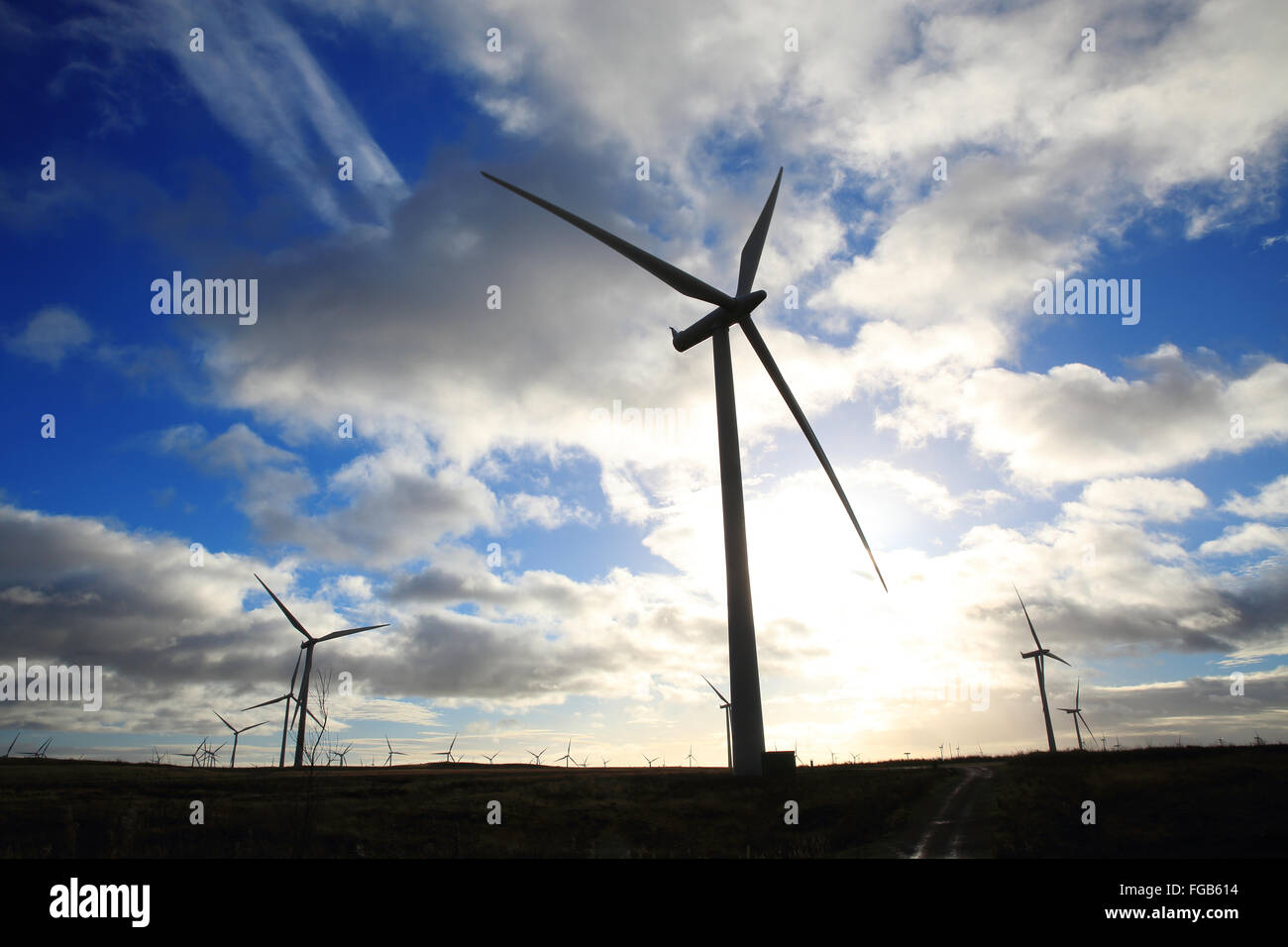 Wind turbines at Whitelee, the UK's largest onshore windfarm, near ...