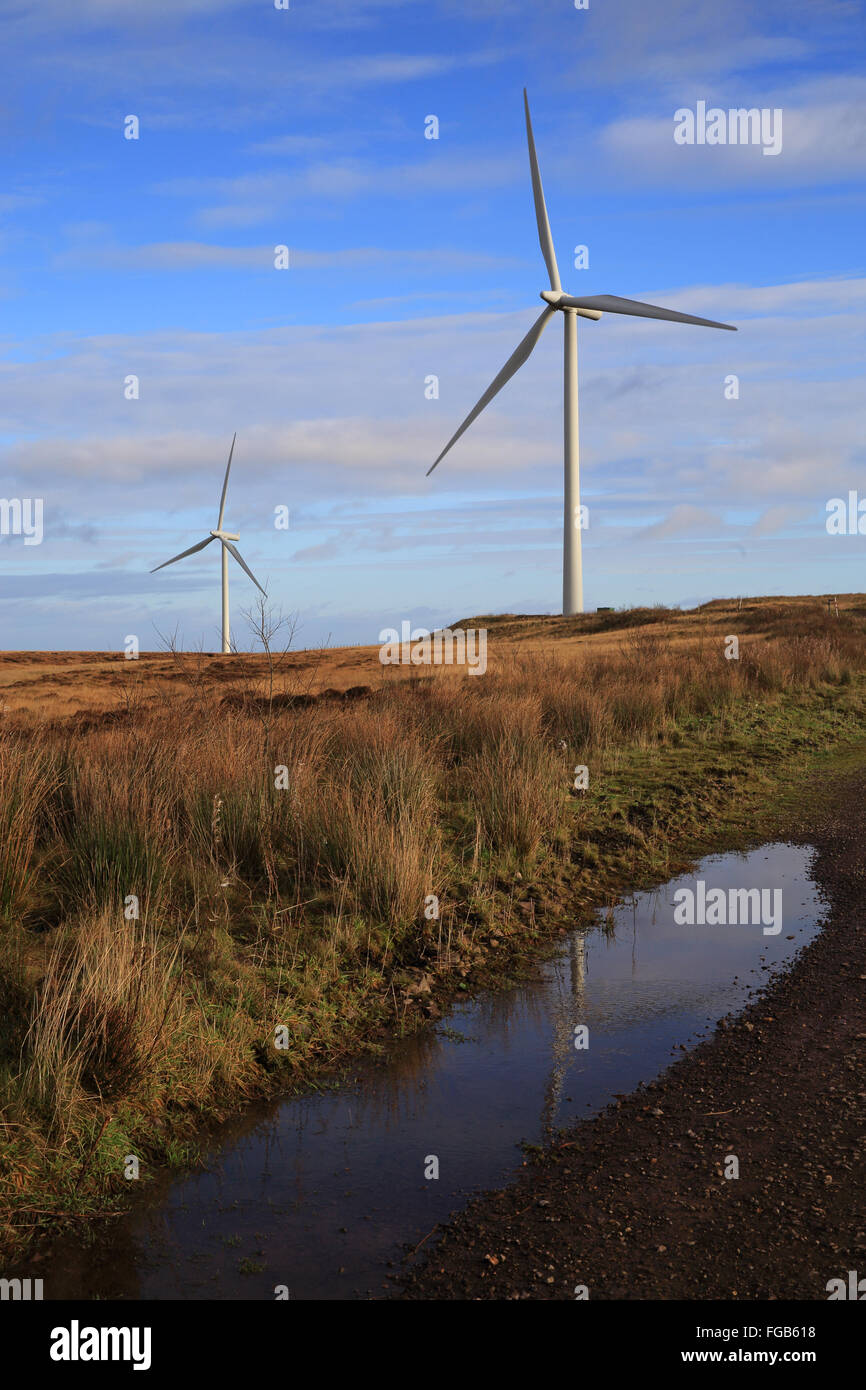 Wind turbines at Whitelee, the UK's largest onshore windfarm, near ...