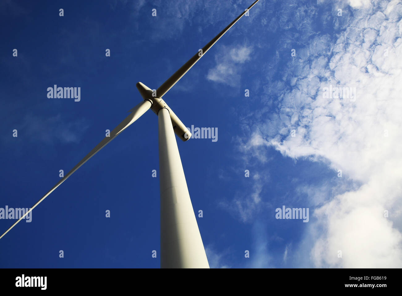 Wind turbine at Whitelee, the UK's largest onshore windfarm, near ...