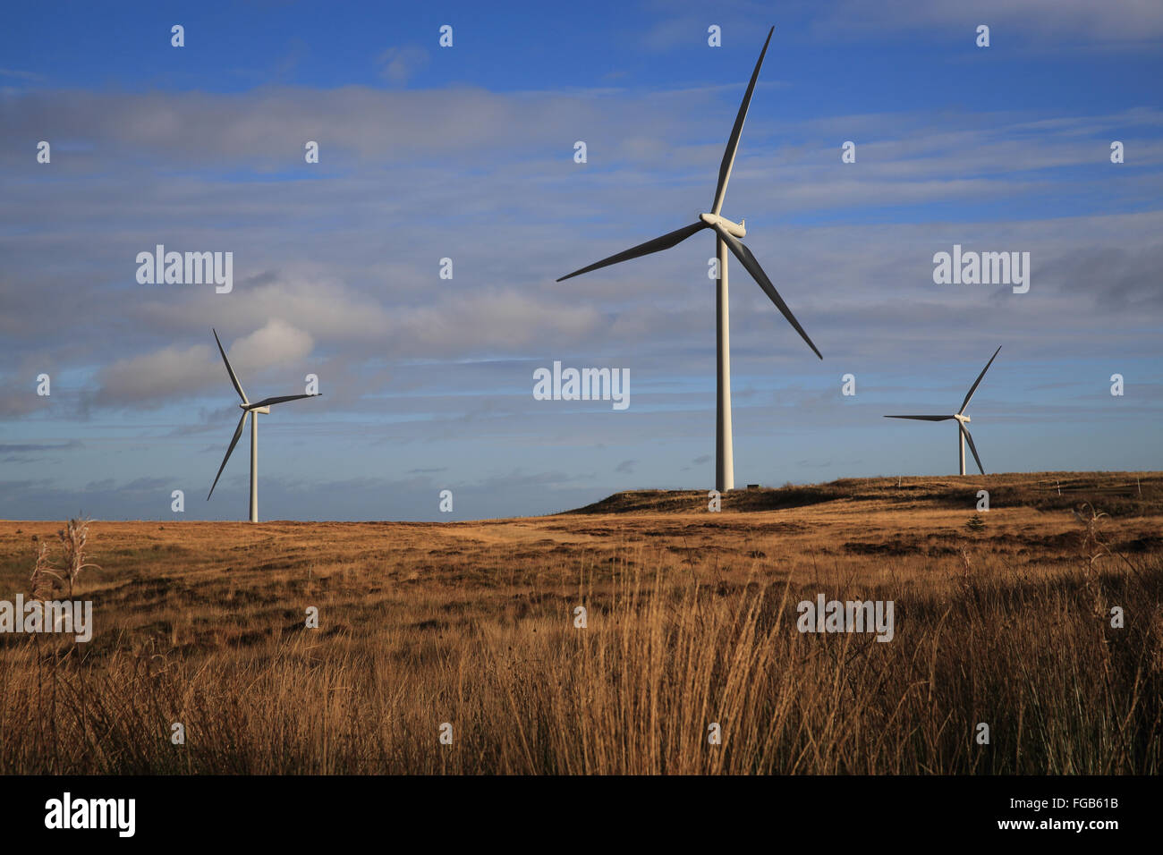 Wind turbines at Whitelee, the UK's largest onshore windfarm, near ...
