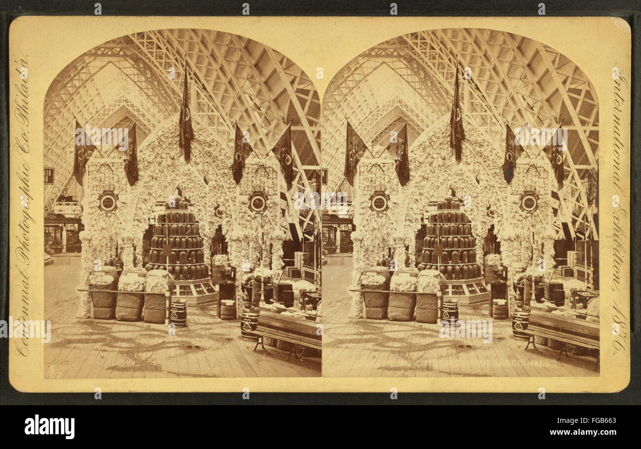 A photograph of the Brazilian cotton exhibit at Agricultural Hall ...