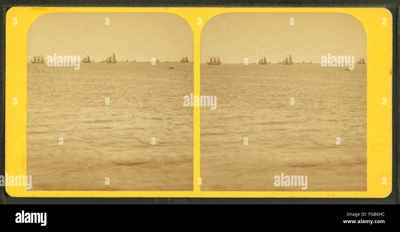 A photograph by S. F. Adams showing a view of sailboats from Oak Bluffs ...