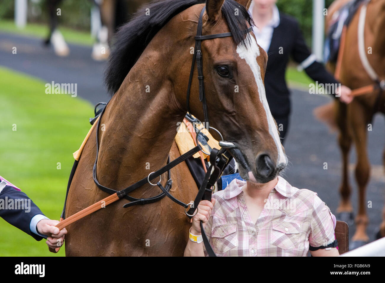 Royal Ascot horse race meeting,Ascot,Berkshire,England,U.K. Europe ...