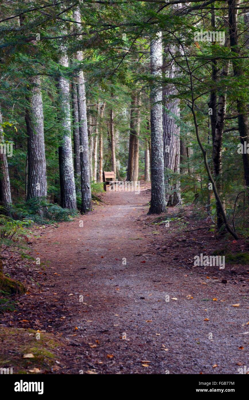 Hiawatha trail hi-res stock photography and images - Alamy