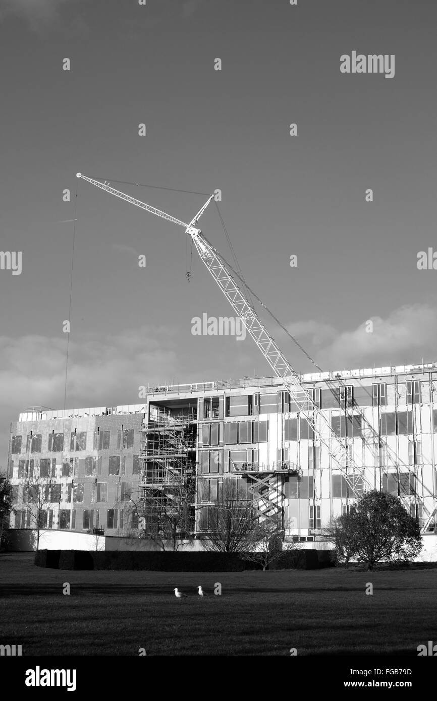 Development block Black and White Stock Photos & Images - Alamy