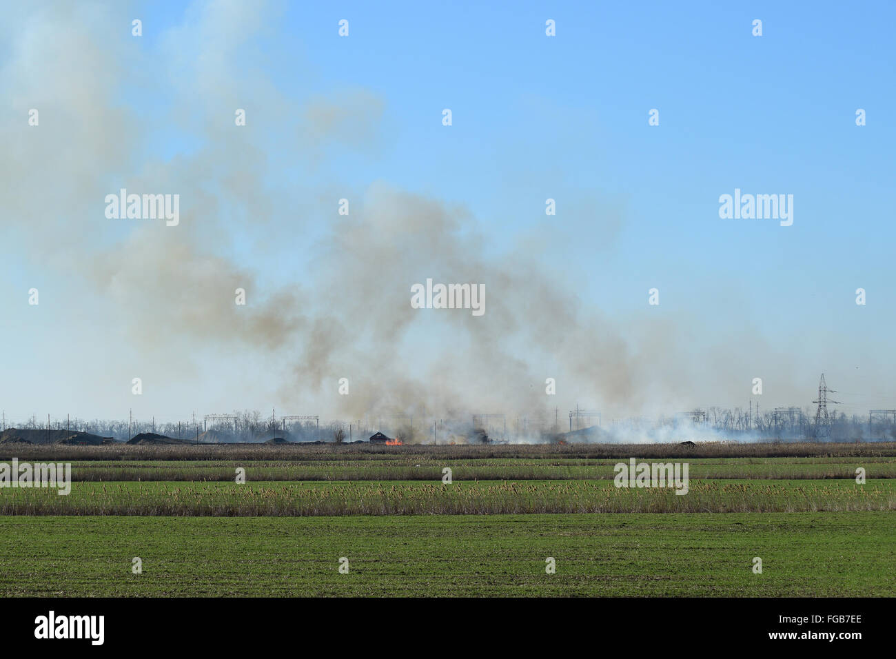 Fire on irrigation canals. Burning dry grass and cane fields in ...