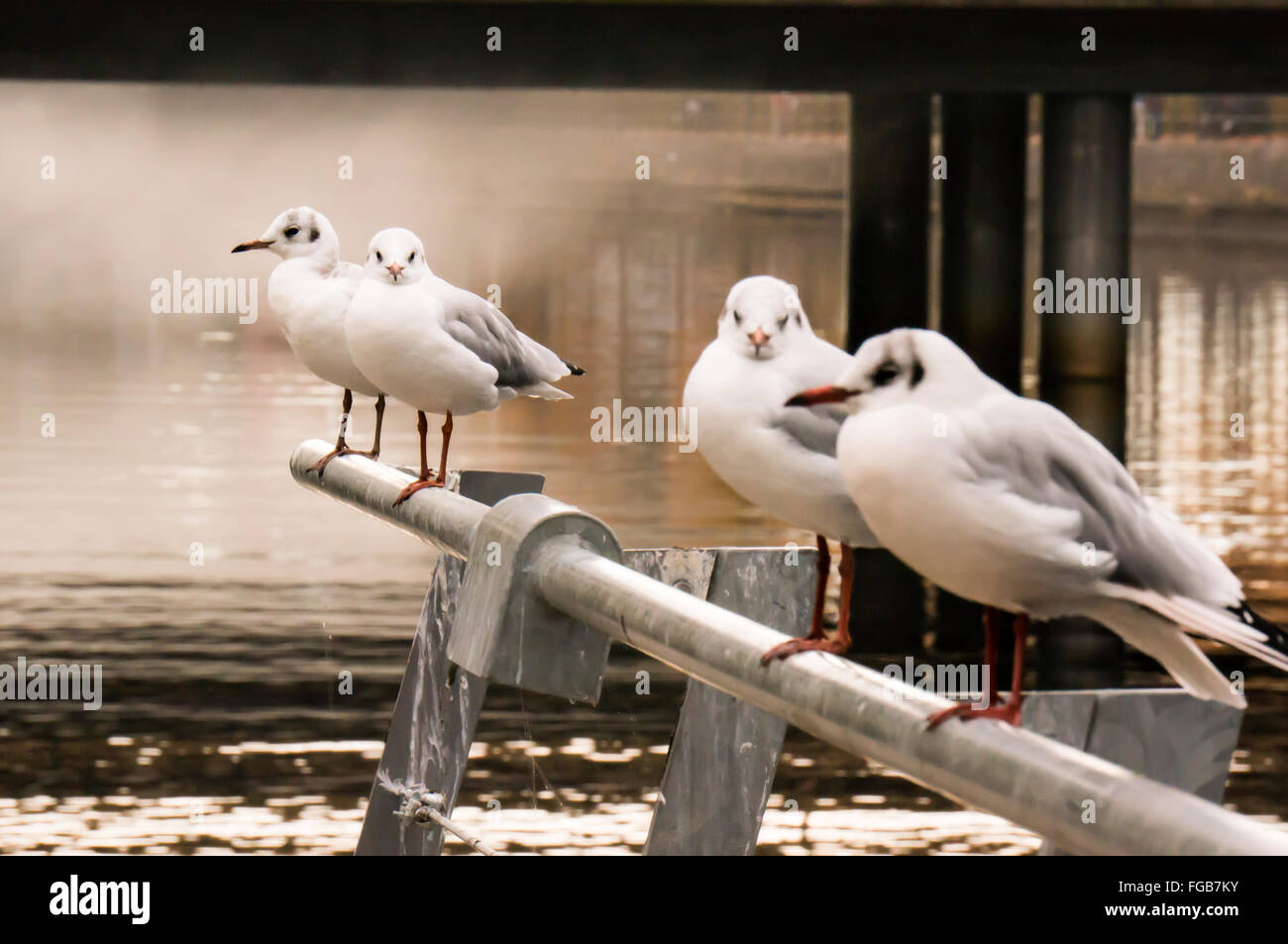 Side railing hi-res stock photography and images - Alamy