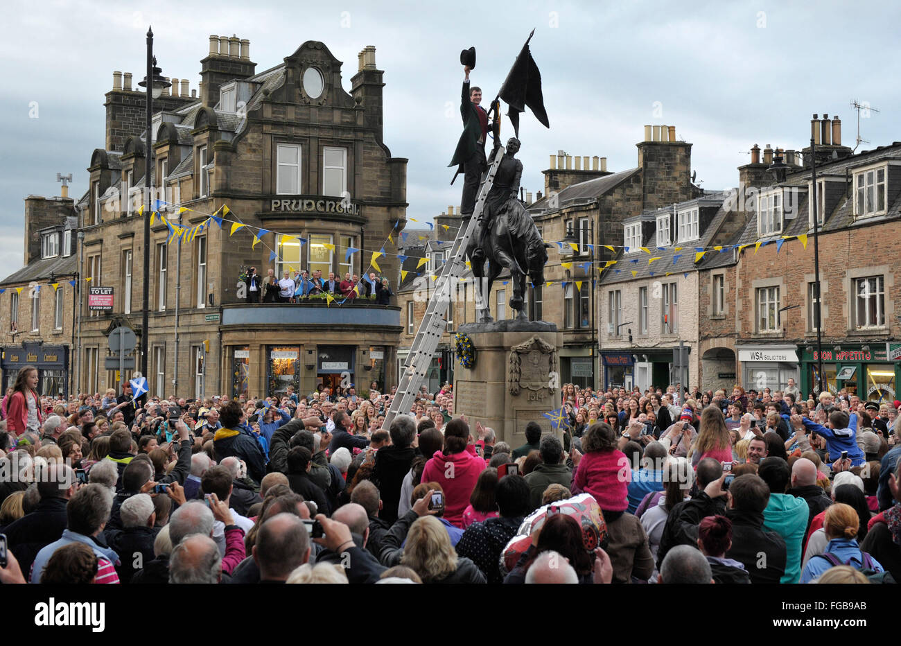 The horse hawick hi-res stock photography and images - Alamy