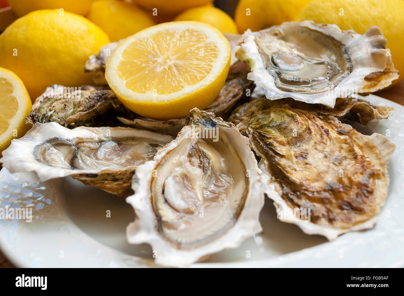 French oysters hi-res stock photography and images - Alamy