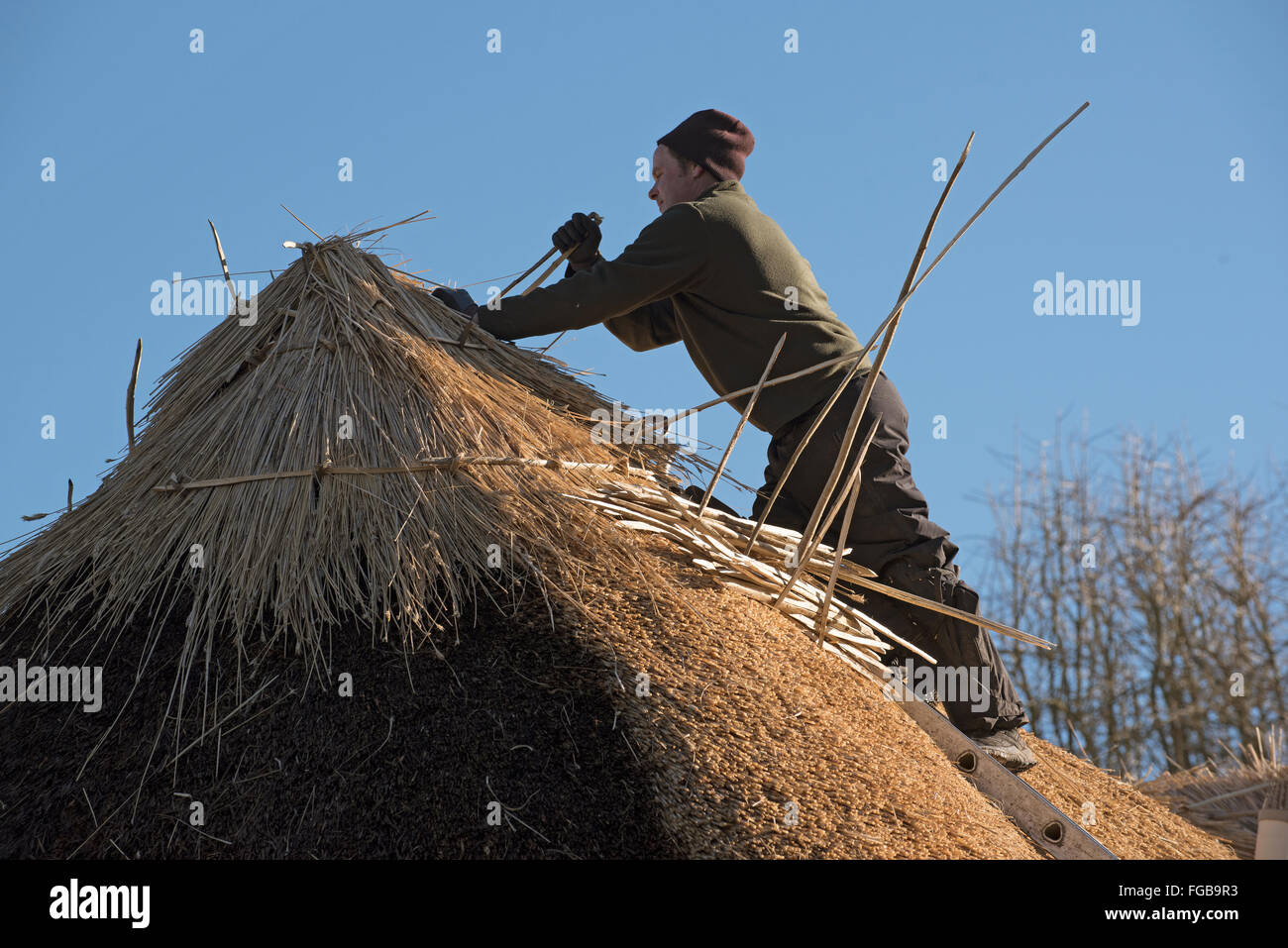 Thatcher thatch thatching wheat hi-res stock photography and images - Alamy