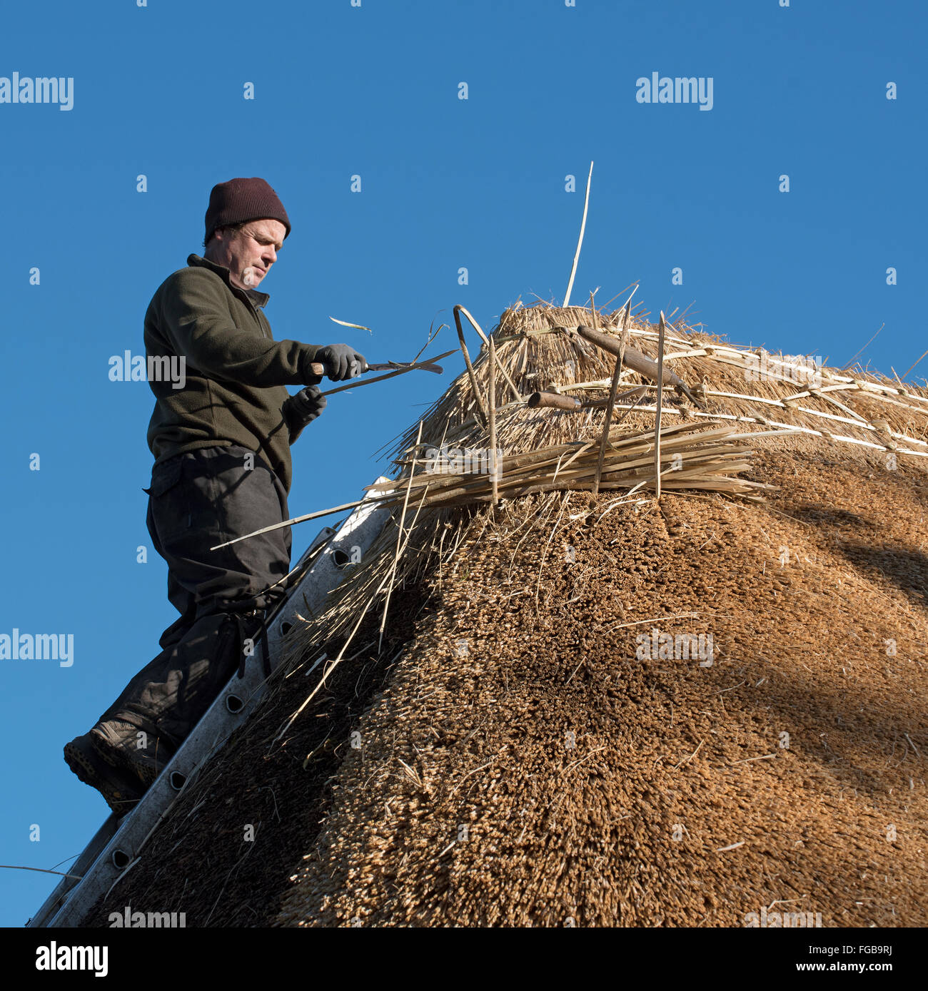 Thatcher thatch thatching wheat hi-res stock photography and images - Alamy