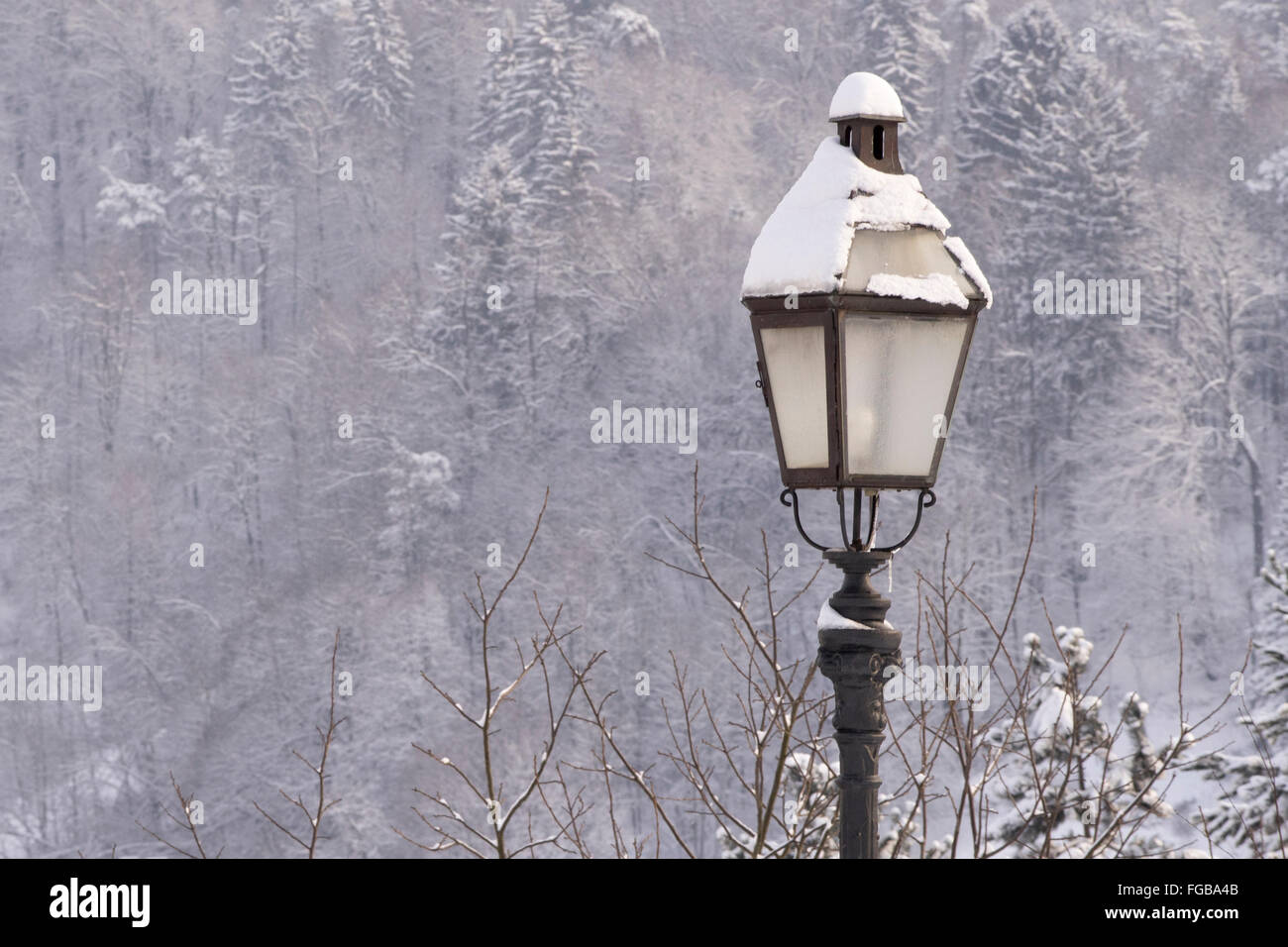 Light pole on winter Stock Photo - Alamy