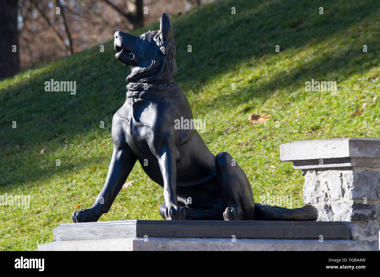 Statue of a dog Stock Photo - Alamy