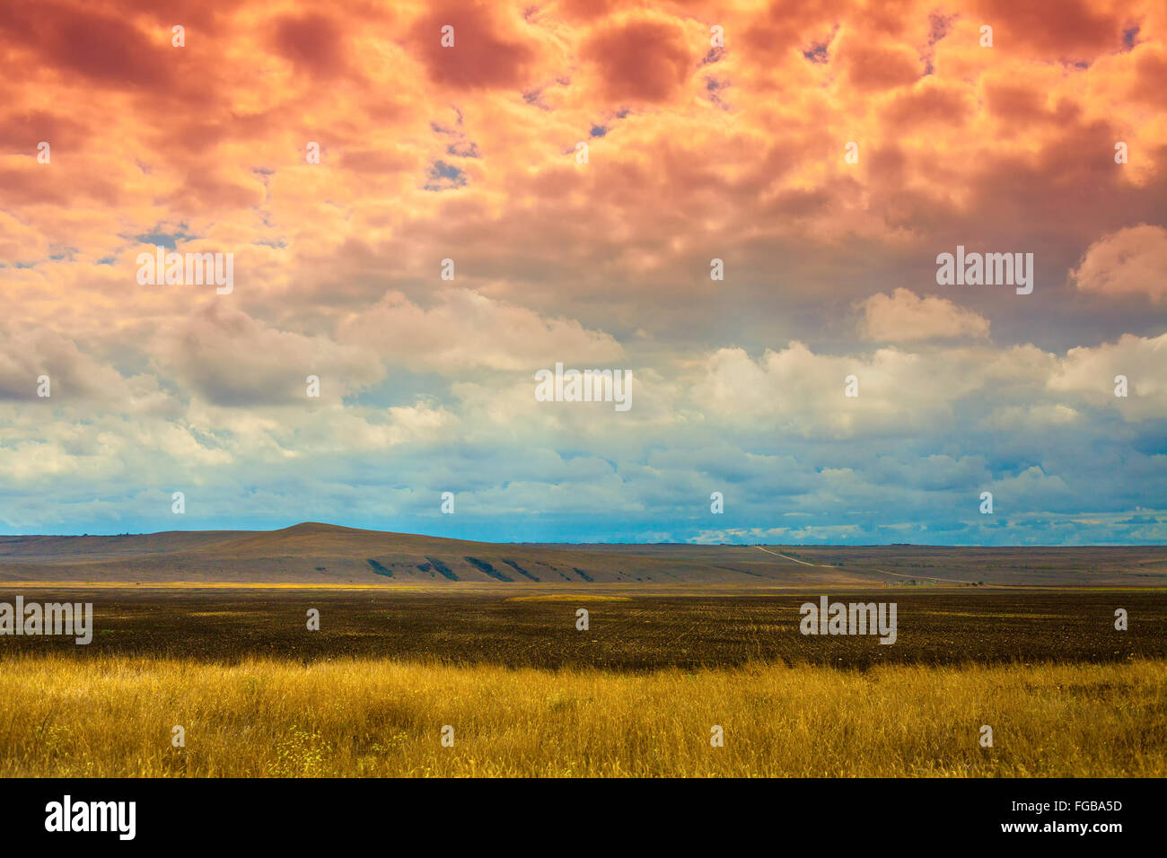 Field with cloudy sky at sunset Stock Photo - Alamy