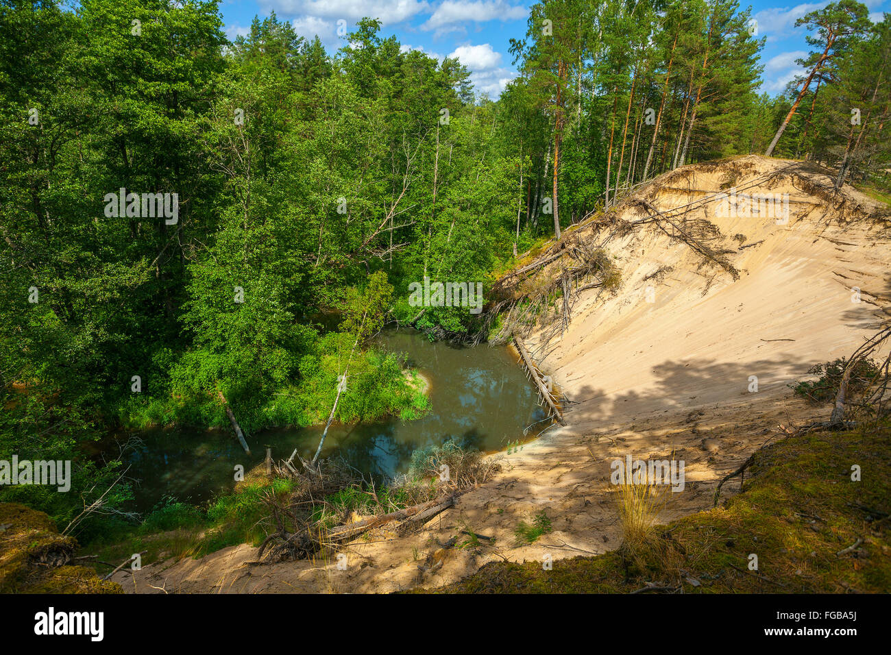 White dune in the forest Stock Photo - Alamy