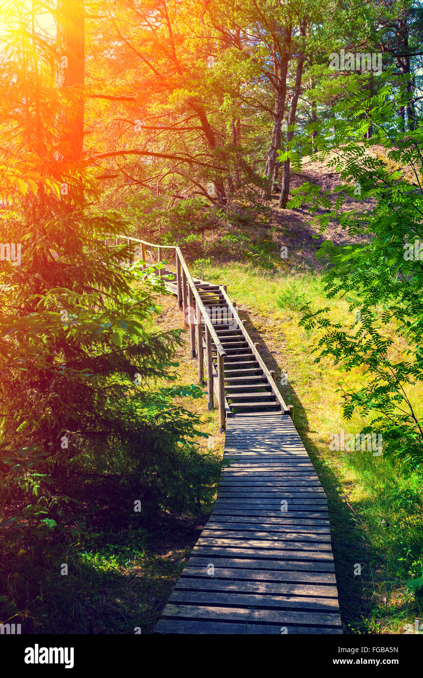 Wooden pathway hi-res stock photography and images - Alamy