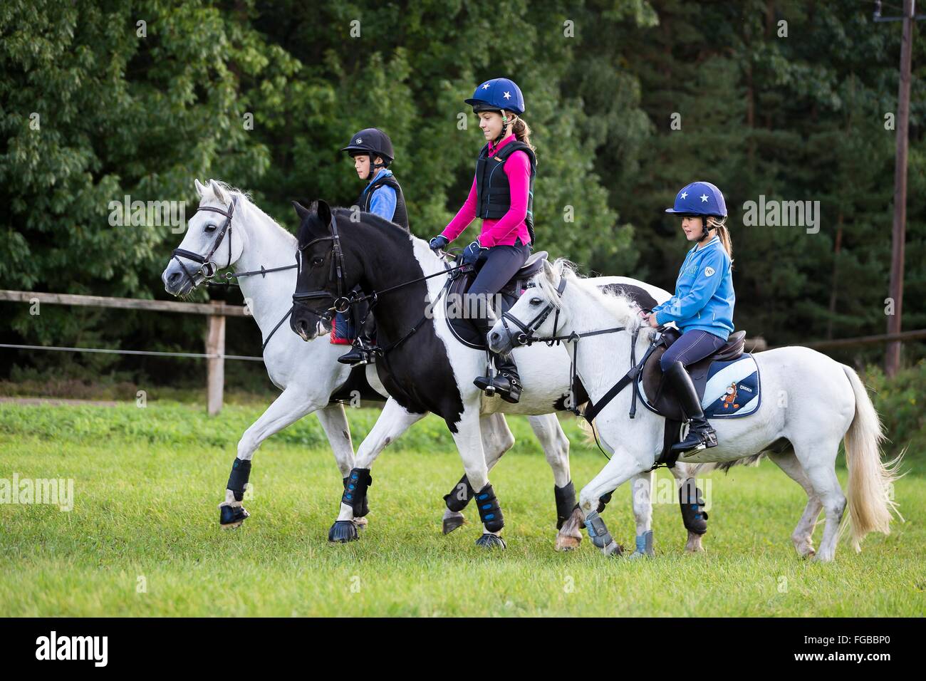 German Riding Pony and Welsh-Mountain-Pony. Three children trotting ...