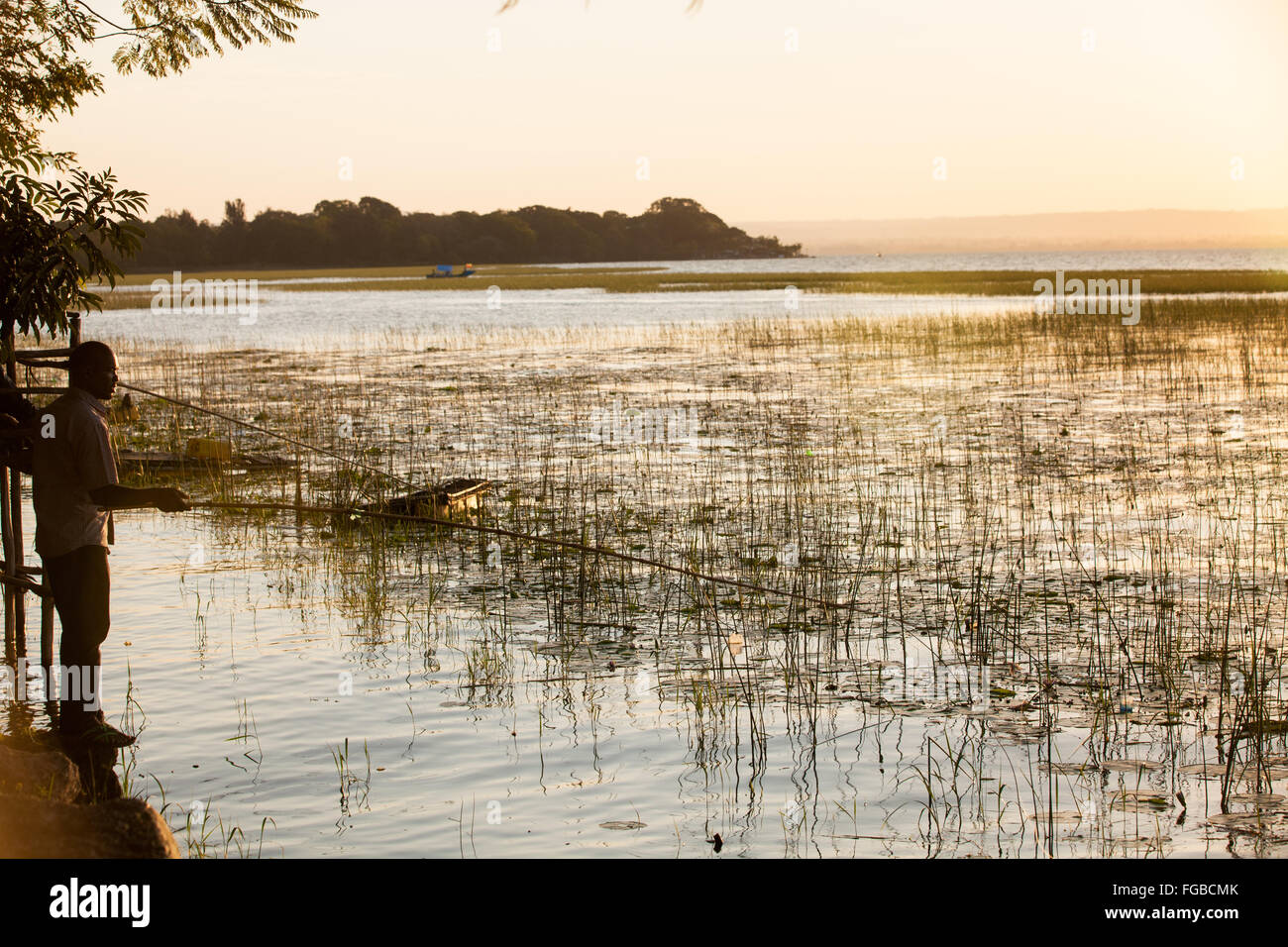 A fisherman fishing in the evening sun, Lake Hawassa, Ethiopia Stock ...