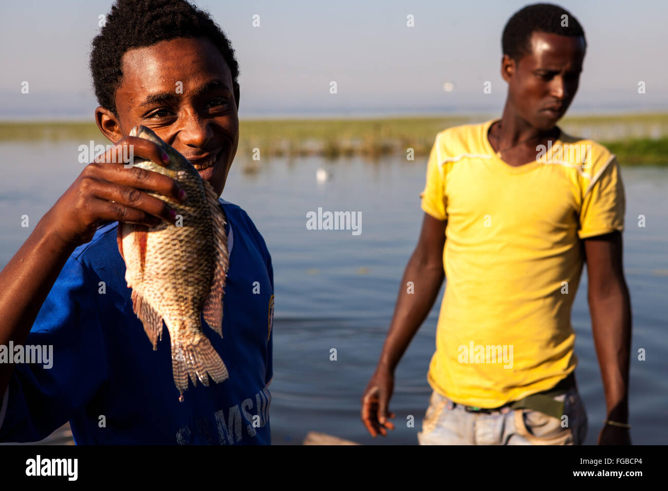 Freshly caught Talapia fish being sold by fishermen, Lake Hawassa ...