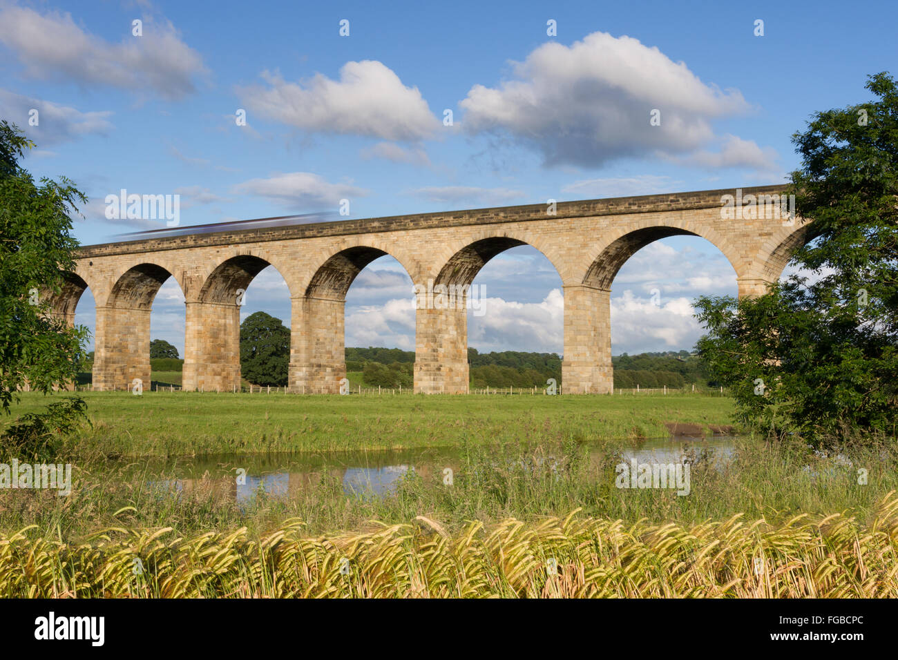 Arthington Viaduct, North Yorkshire Stock Photo - Alamy