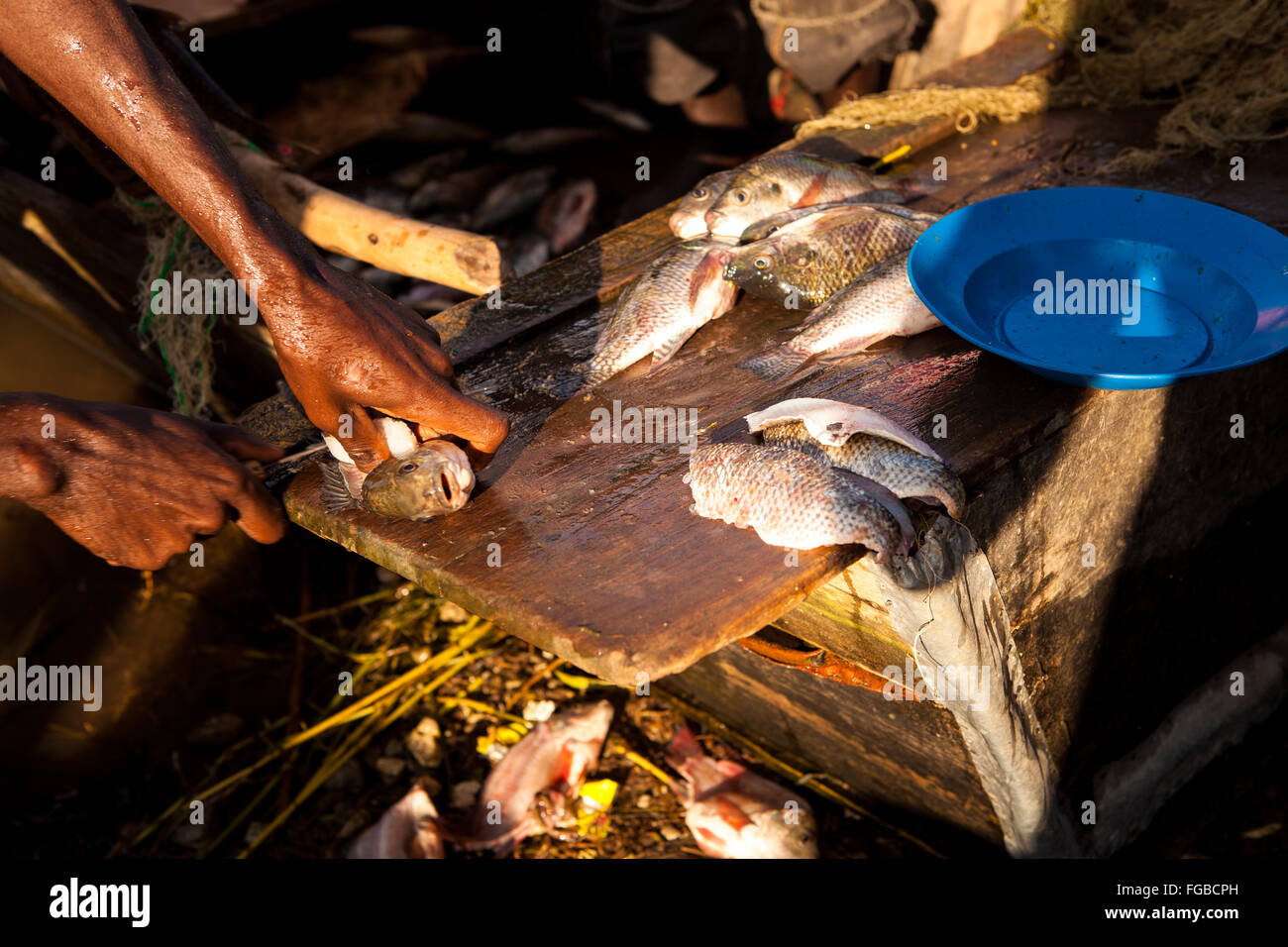 Hawassa fish market hi-res stock photography and images - Alamy