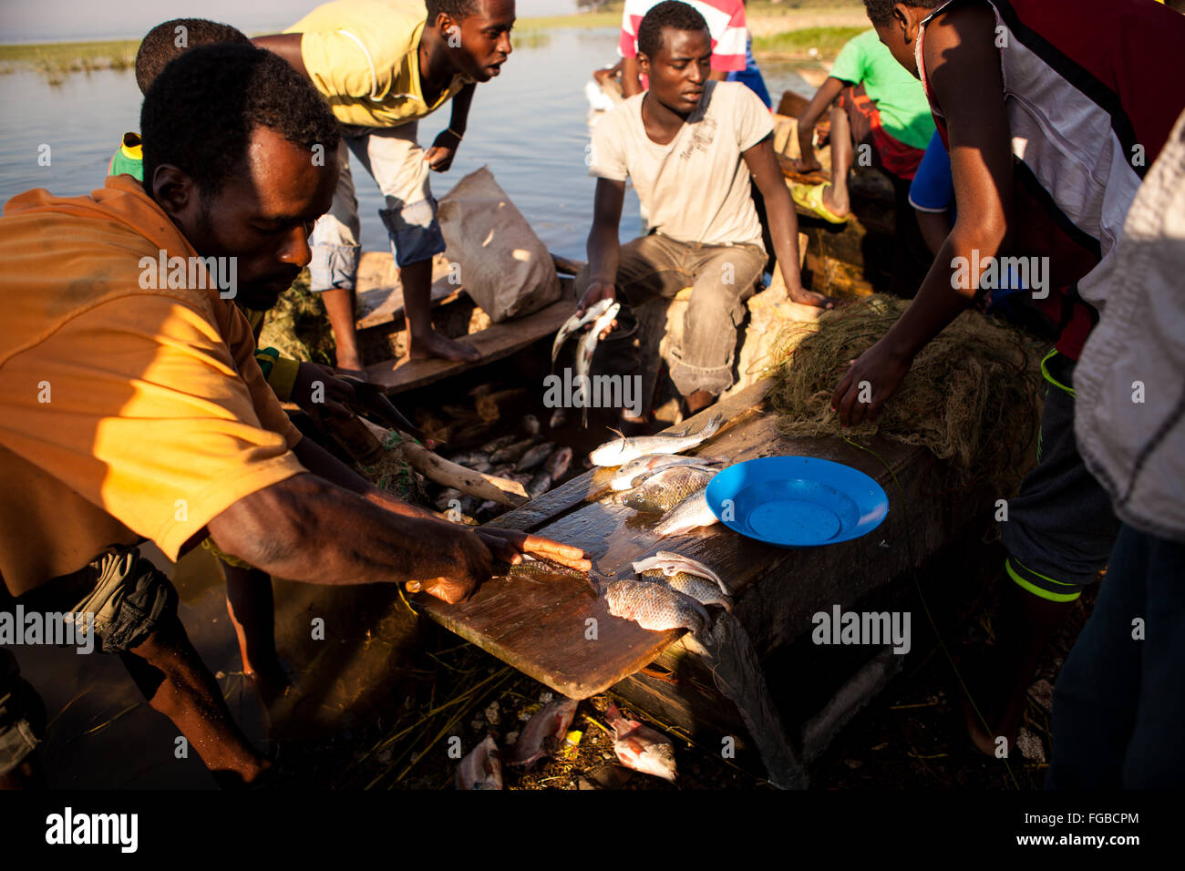 Fishermen prepare their freshly caught fish. Lake Hawassa Ethiopia ...