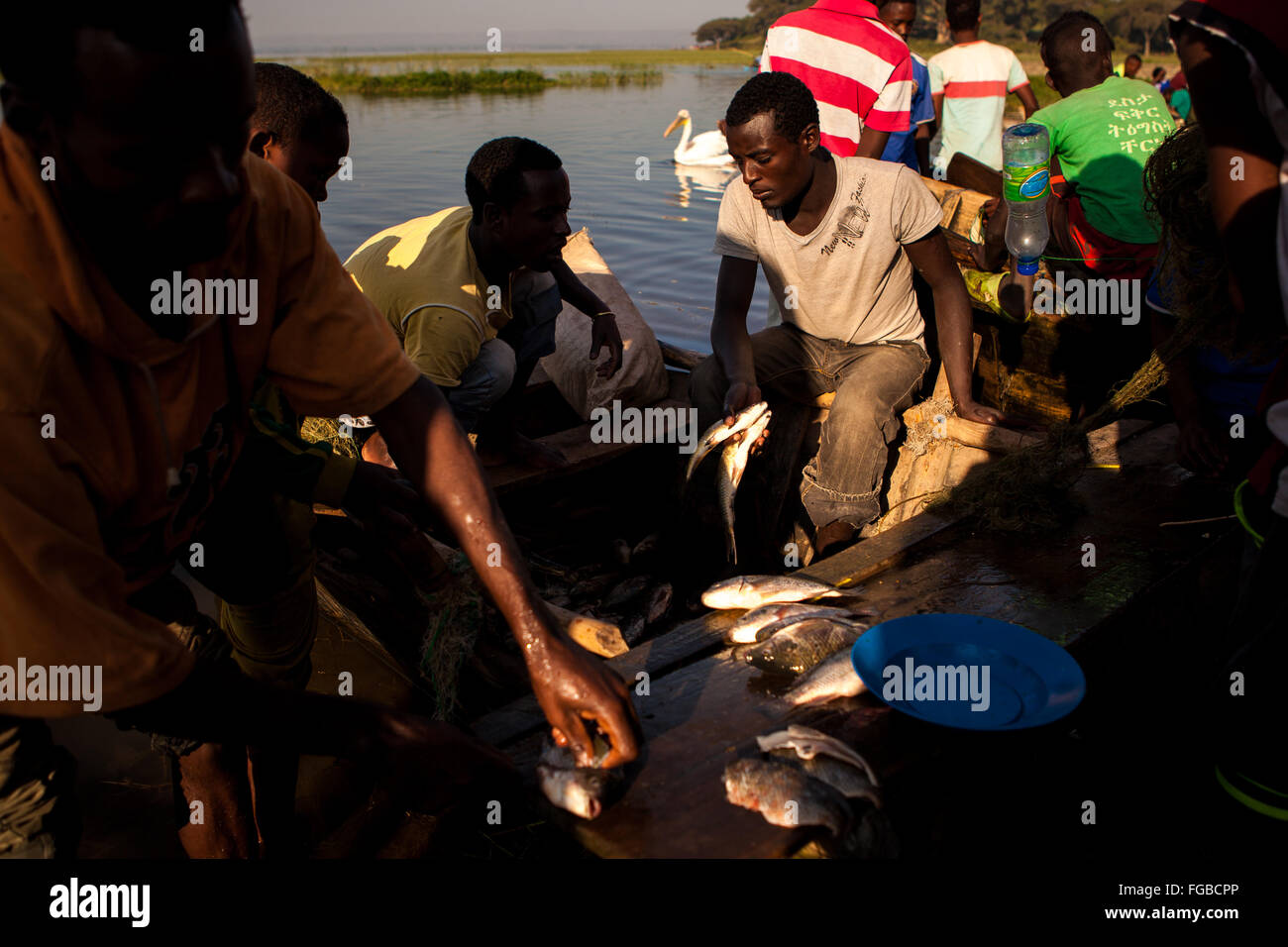 Fishermen prepare their freshly caught fish. Lake Hawassa Ethiopia ...