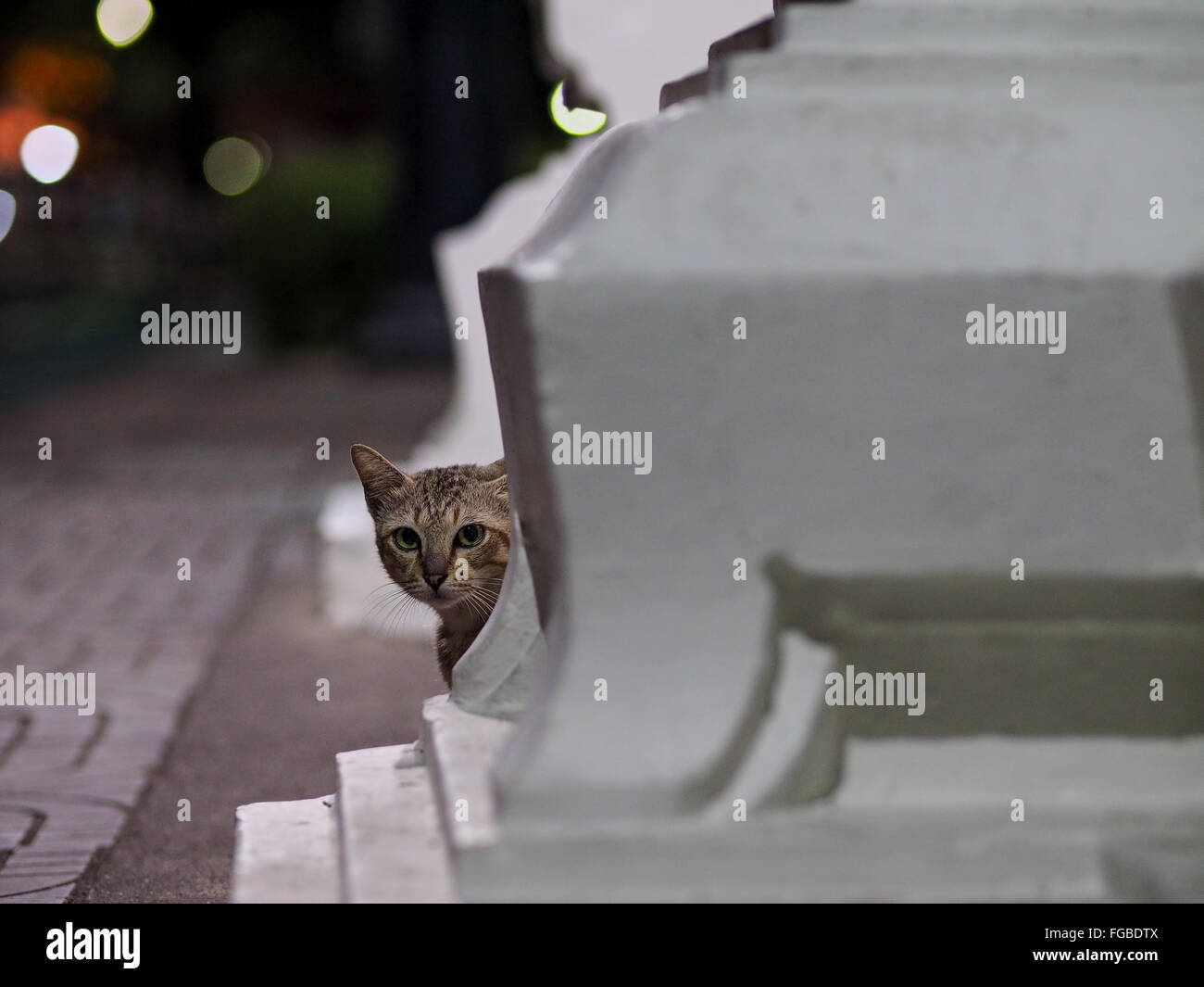 Column bangkok hi-res stock photography and images - Alamy