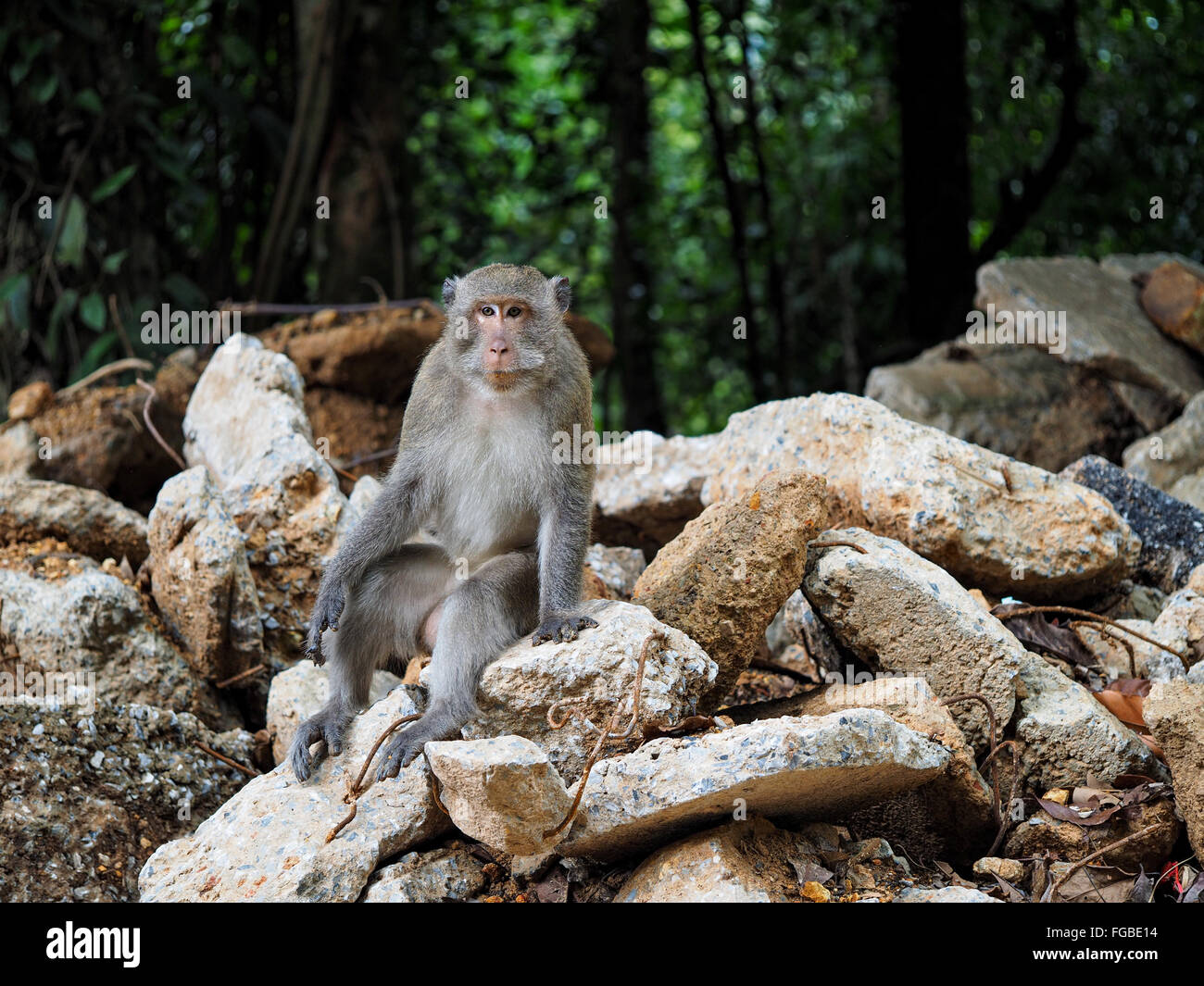 Broken Concrete High Resolution Stock Photography and Images - Alamy