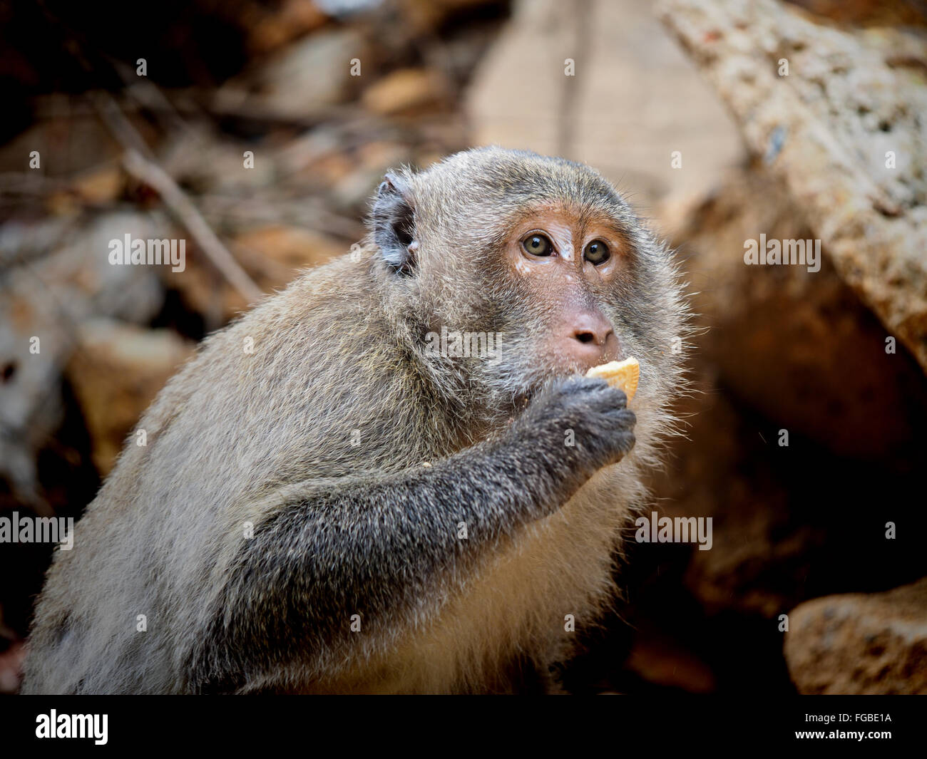 Close concrete broken hi-res stock photography and images - Alamy