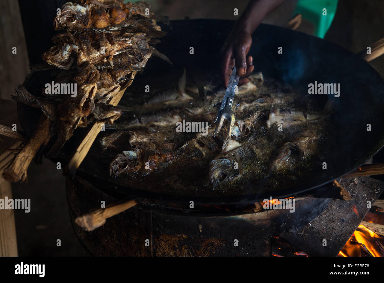 Freshly caught Talapia fish being fried for breakfast on the shores of ...