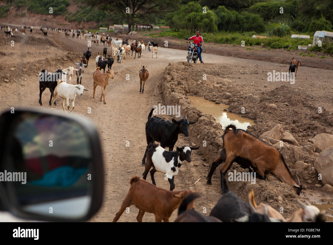 Water wheel africa hi-res stock photography and images - Alamy