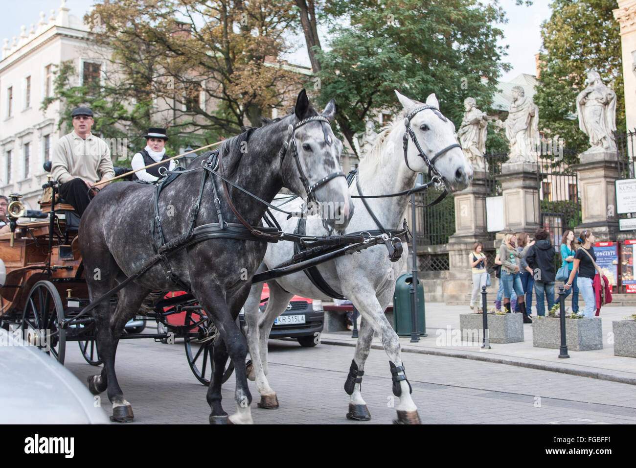 Open carriage pulled hi-res stock photography and images - Alamy