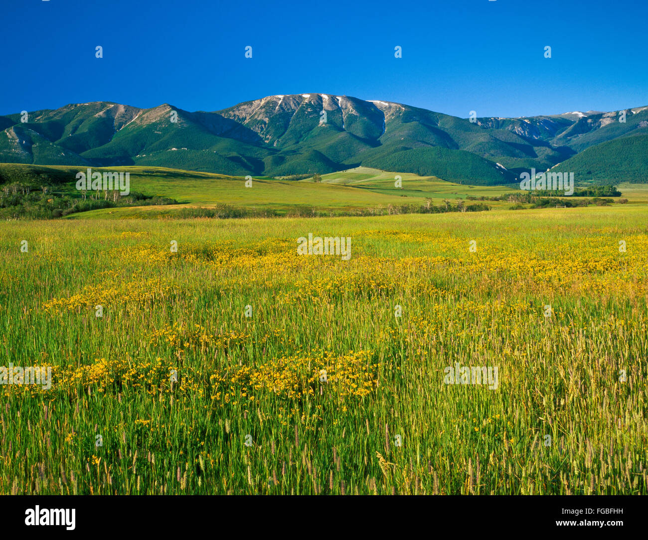 Beartooth range hi-res stock photography and images - Alamy
