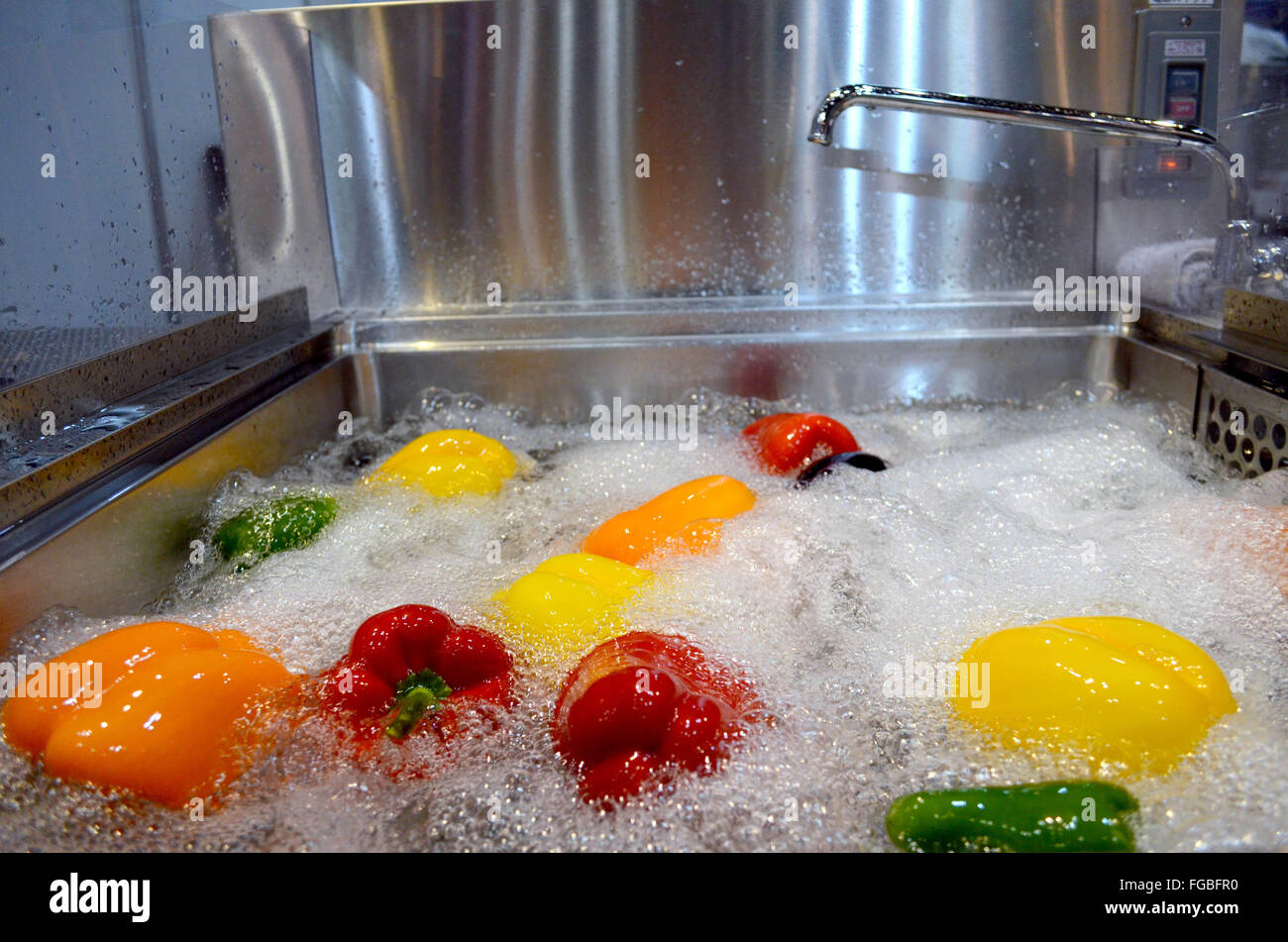 Tokyo, Japan. 16th Feb, 2016. (Aqua wash CUBE) food washing machine is ...