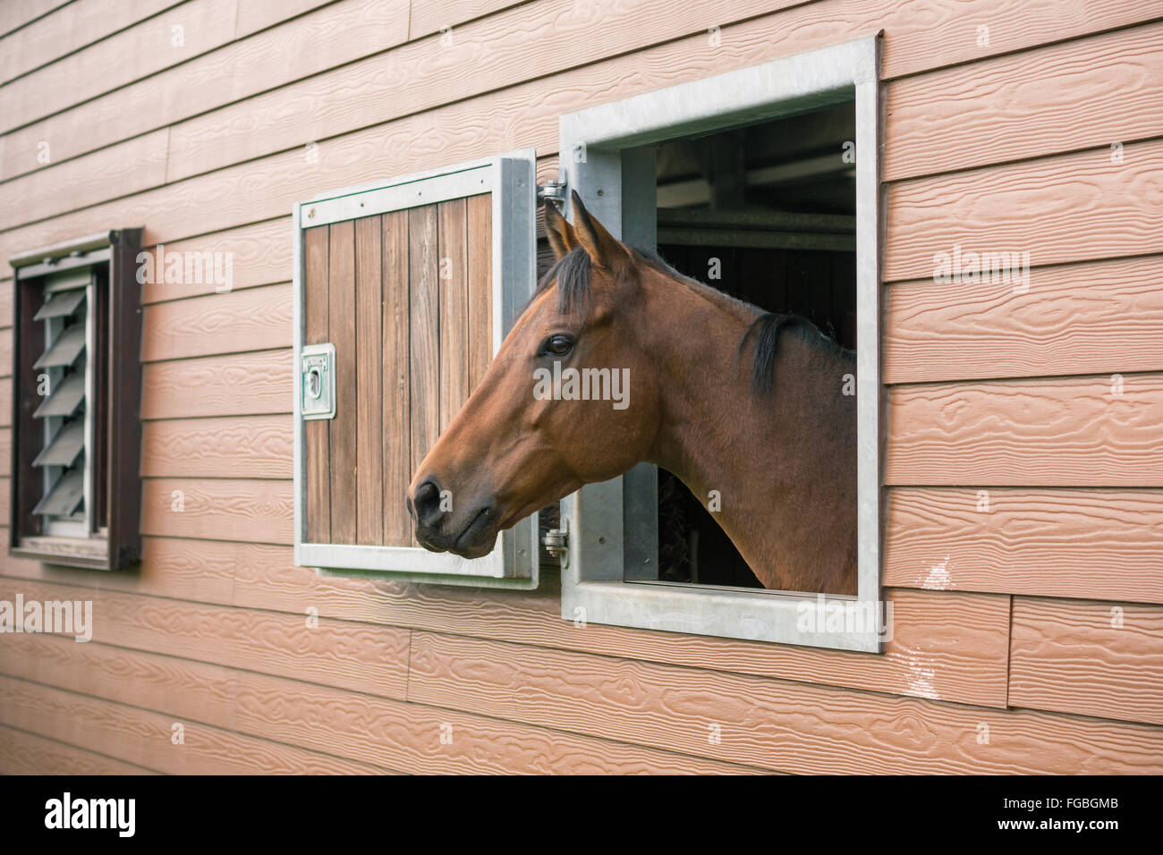 The stable window hi-res stock photography and images - Alamy
